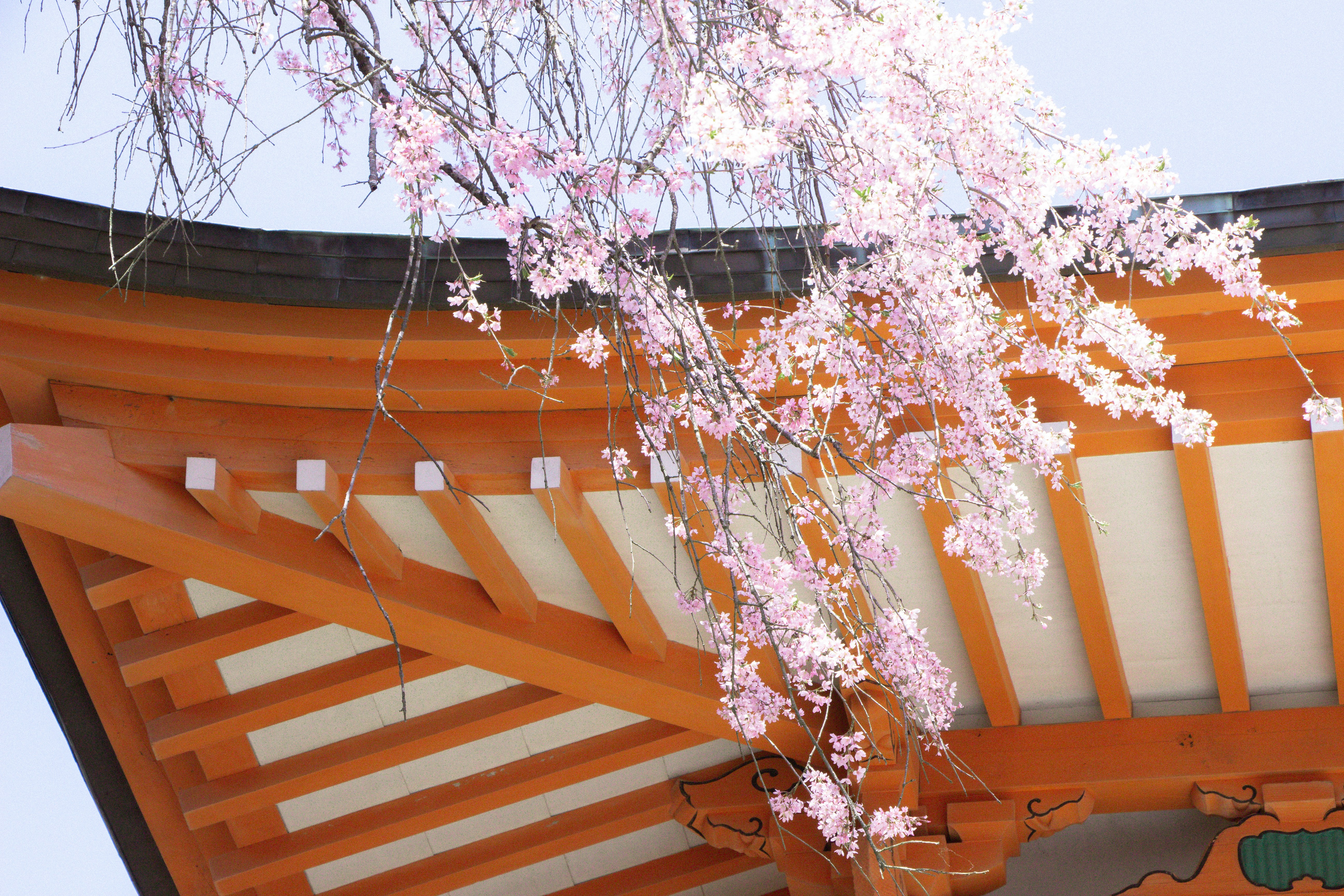 Photo by enkuu smile with Canon EOS 100D