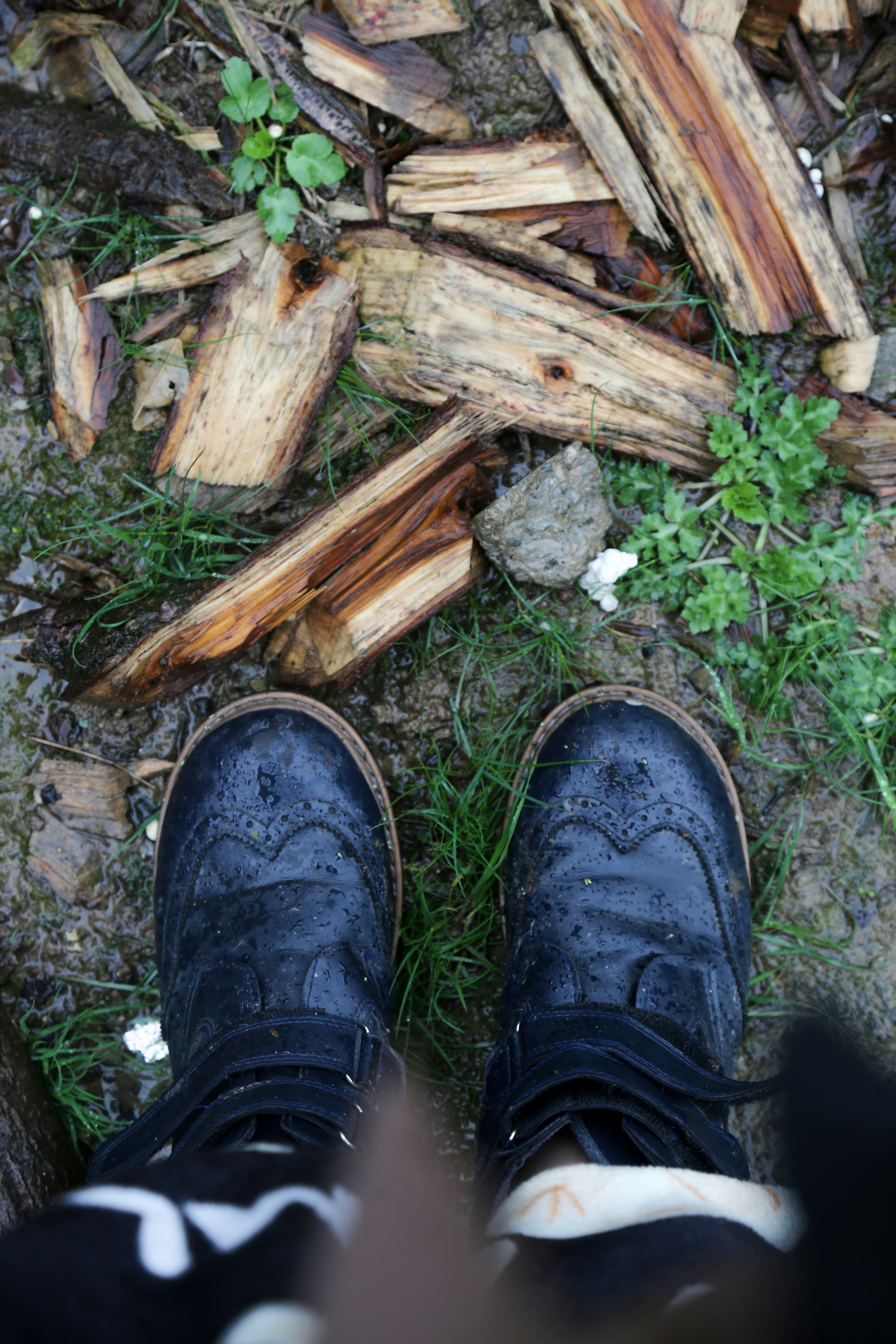 Boots at the Wood Pile: Mud, Logs, and Green Sprouts