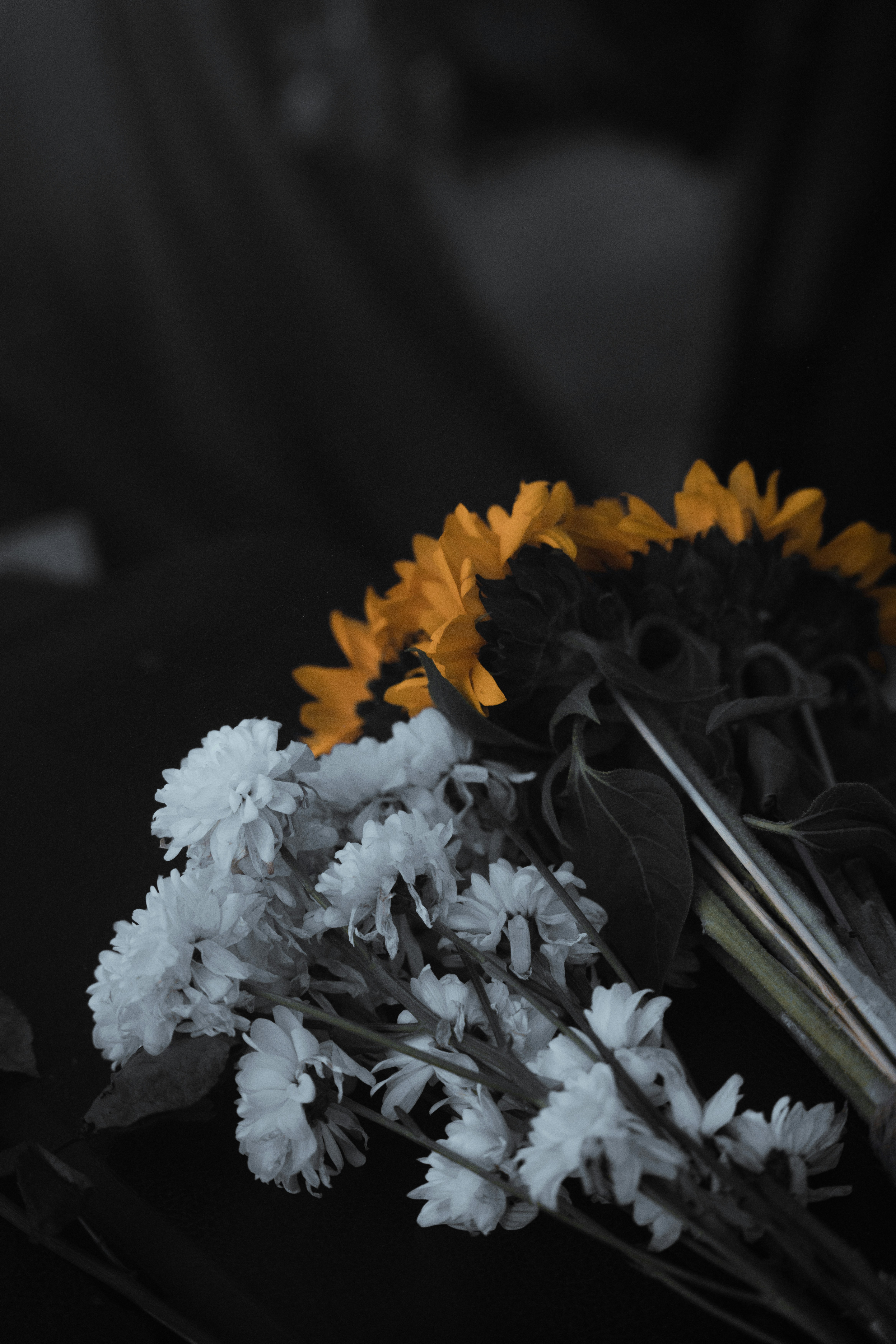 Orange Crown Among White Quiet: A Low-Light Floral Portrait