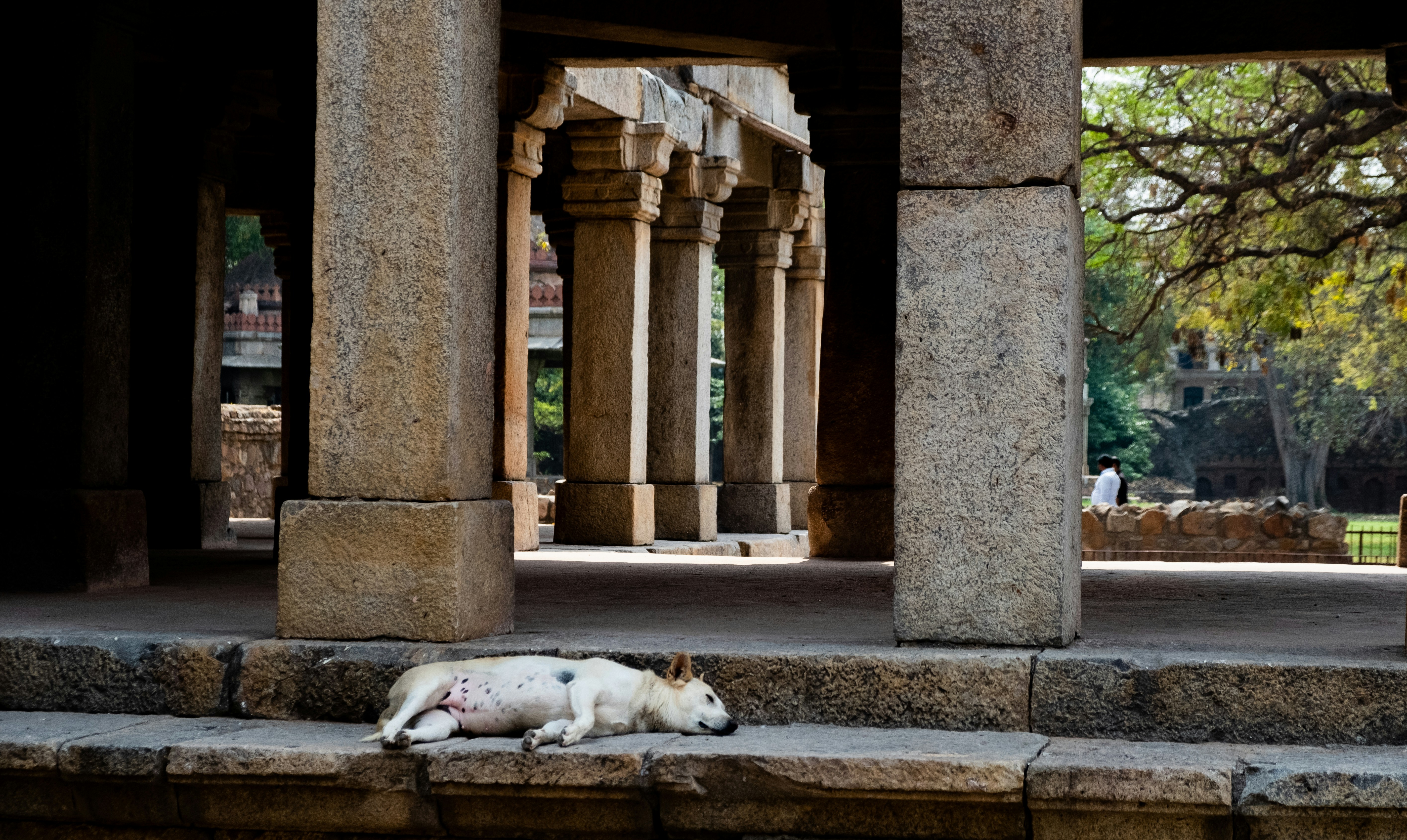 Resting in the Colonnade: A Quiet Nap by the Stones