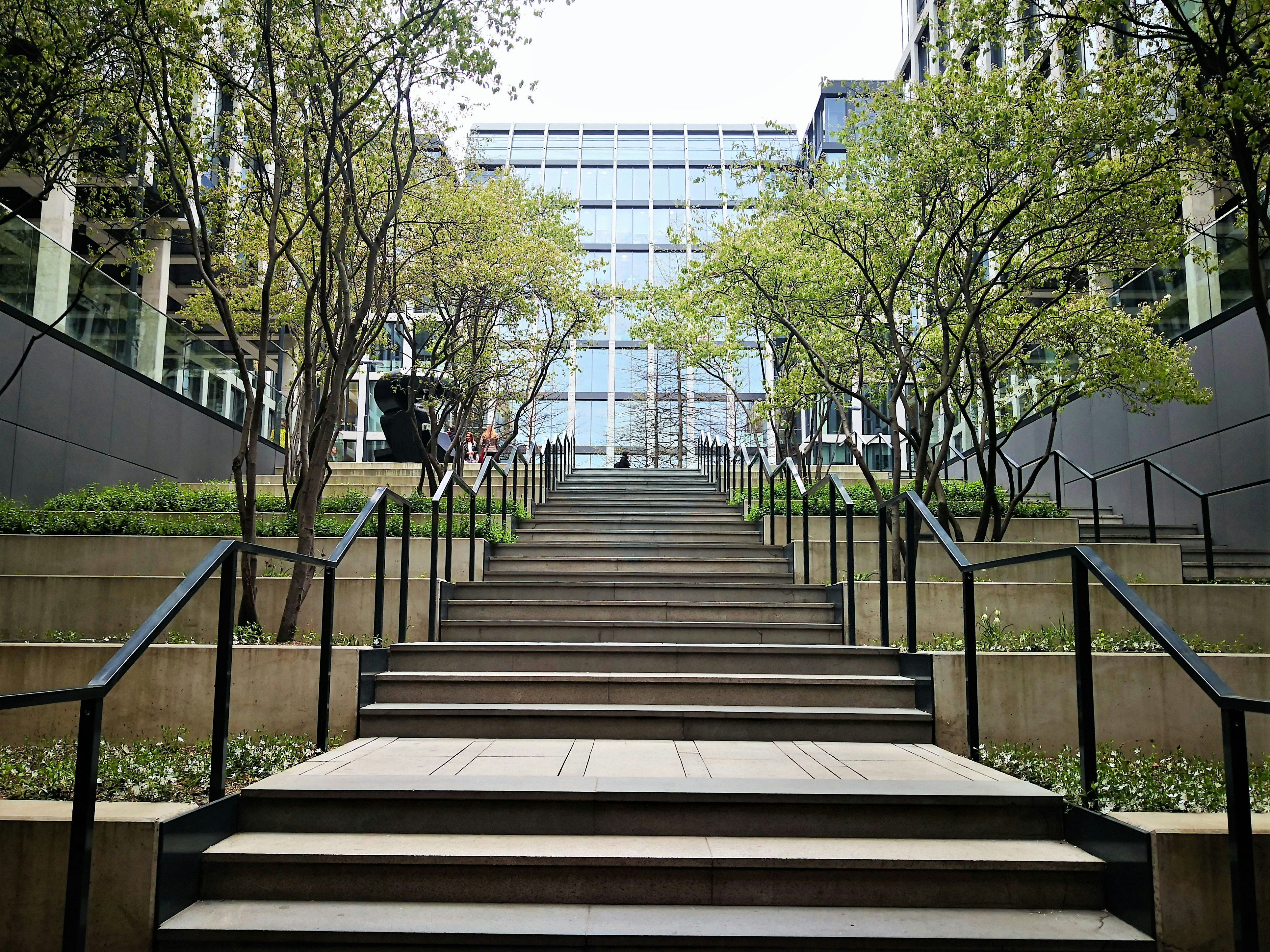 Symmetrical concrete steps framed by rails and planter boxes lead up to a modern glass facade, with trees lining the path.