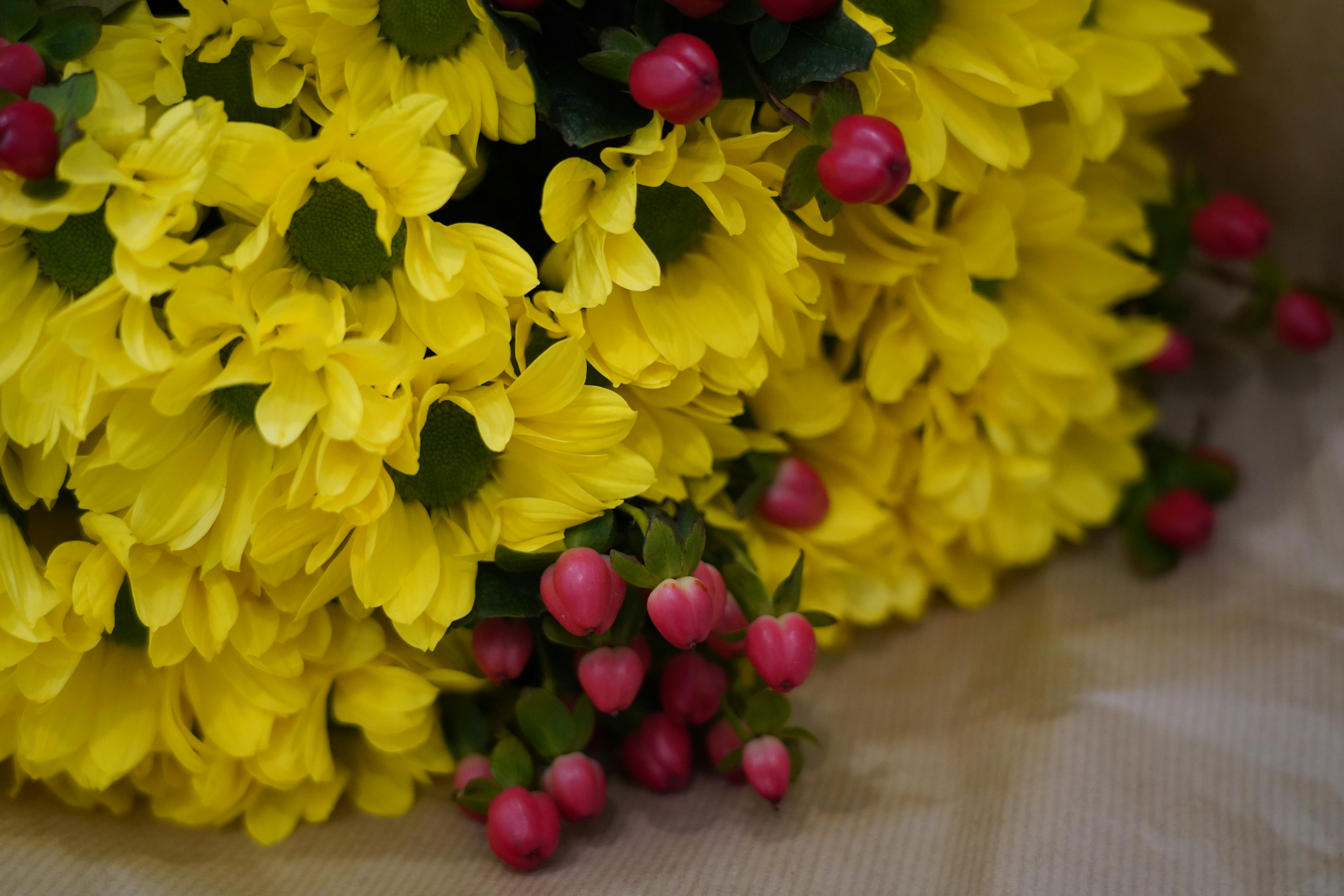 Sunlit Chrysanthemum Cluster with Ruby Accents on Burlap