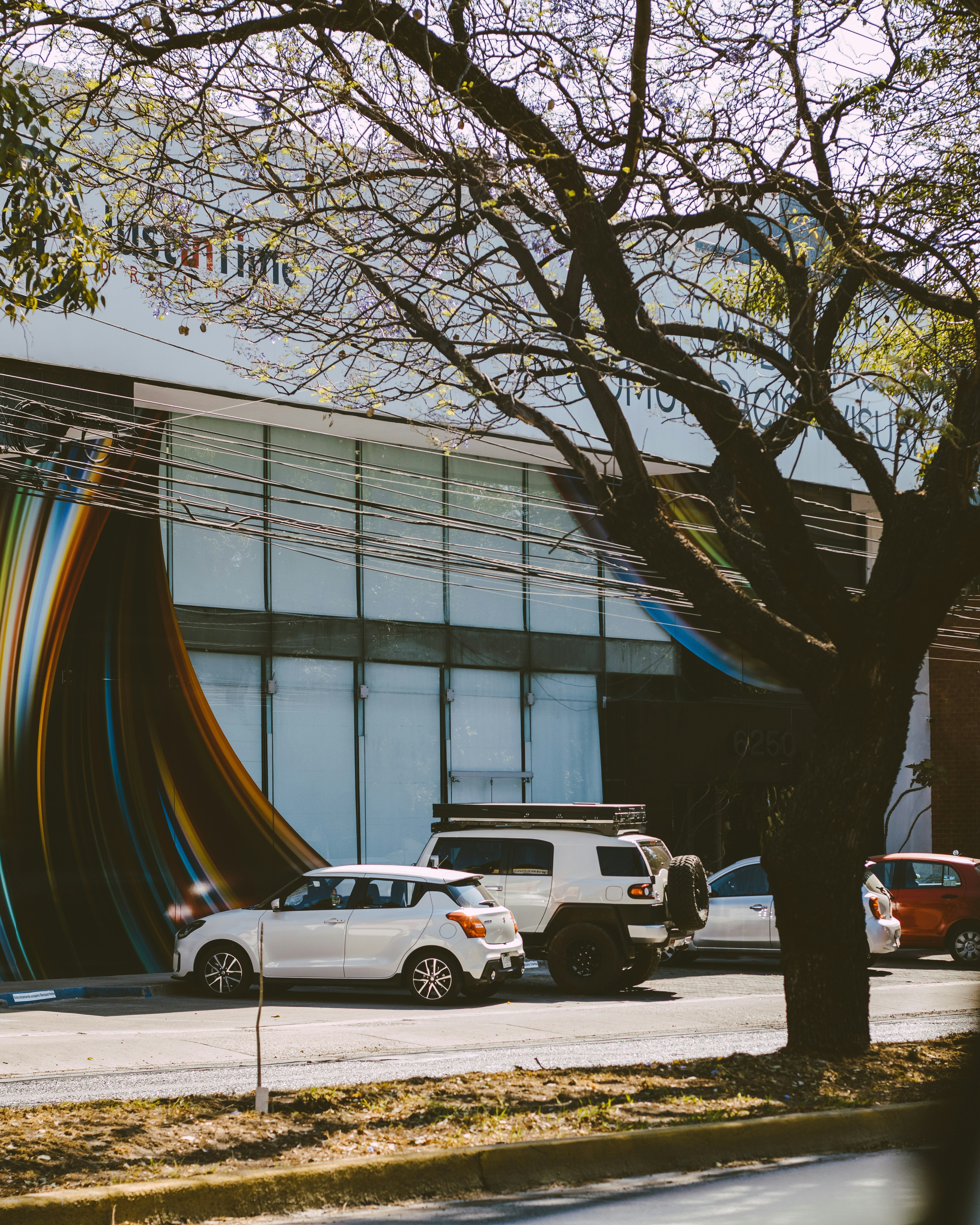 White SUV Anchored by a Kaleidoscopic Mural Under a Branching Tree