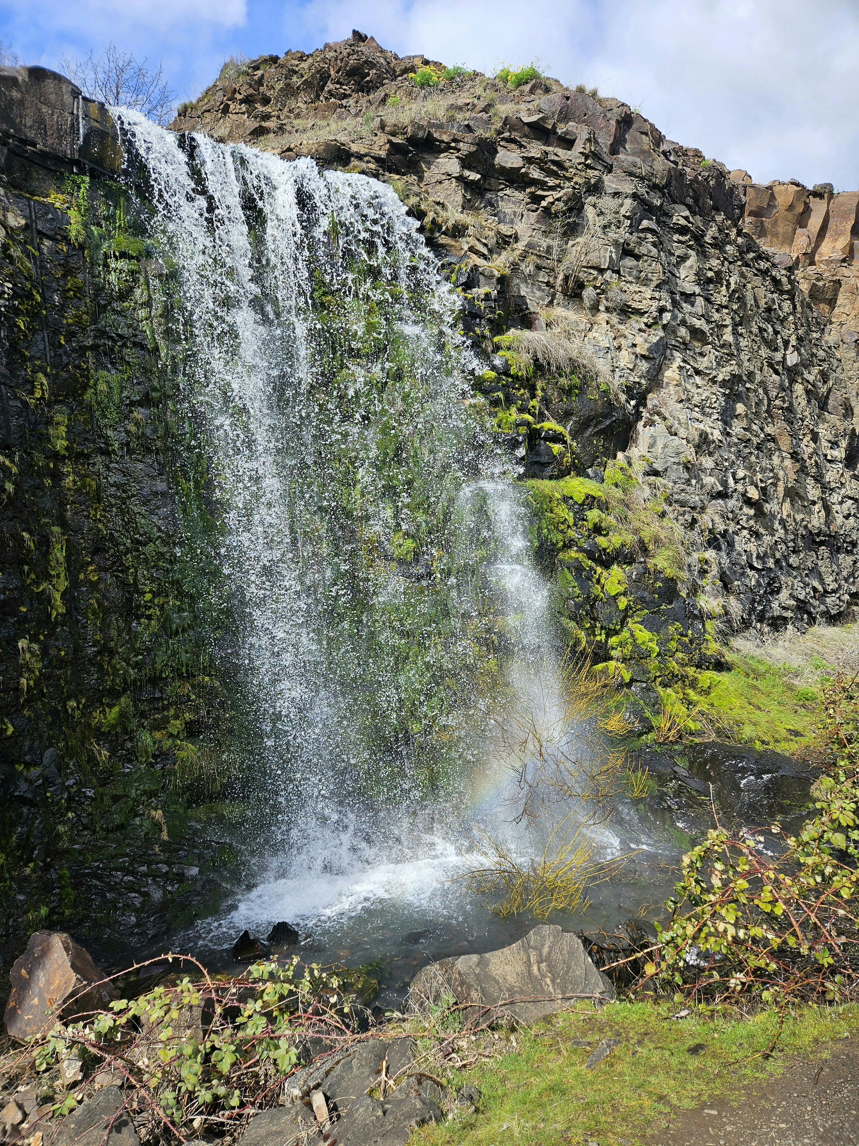Genevieve McDougle (@genevievekathryn) | Unsplash Photo Community