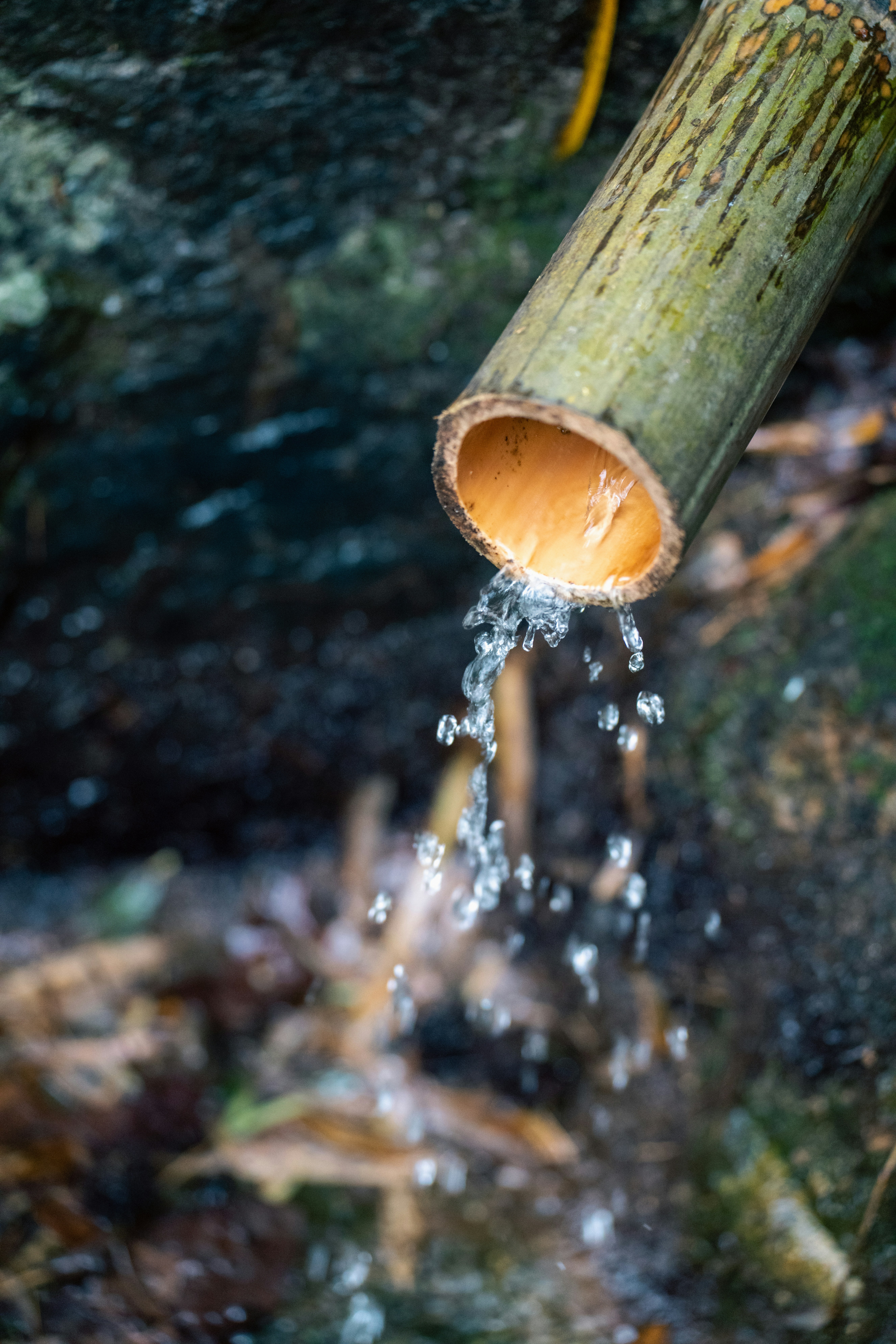 A wooden pipe pouring water into a stream photo – Free China Image on ...