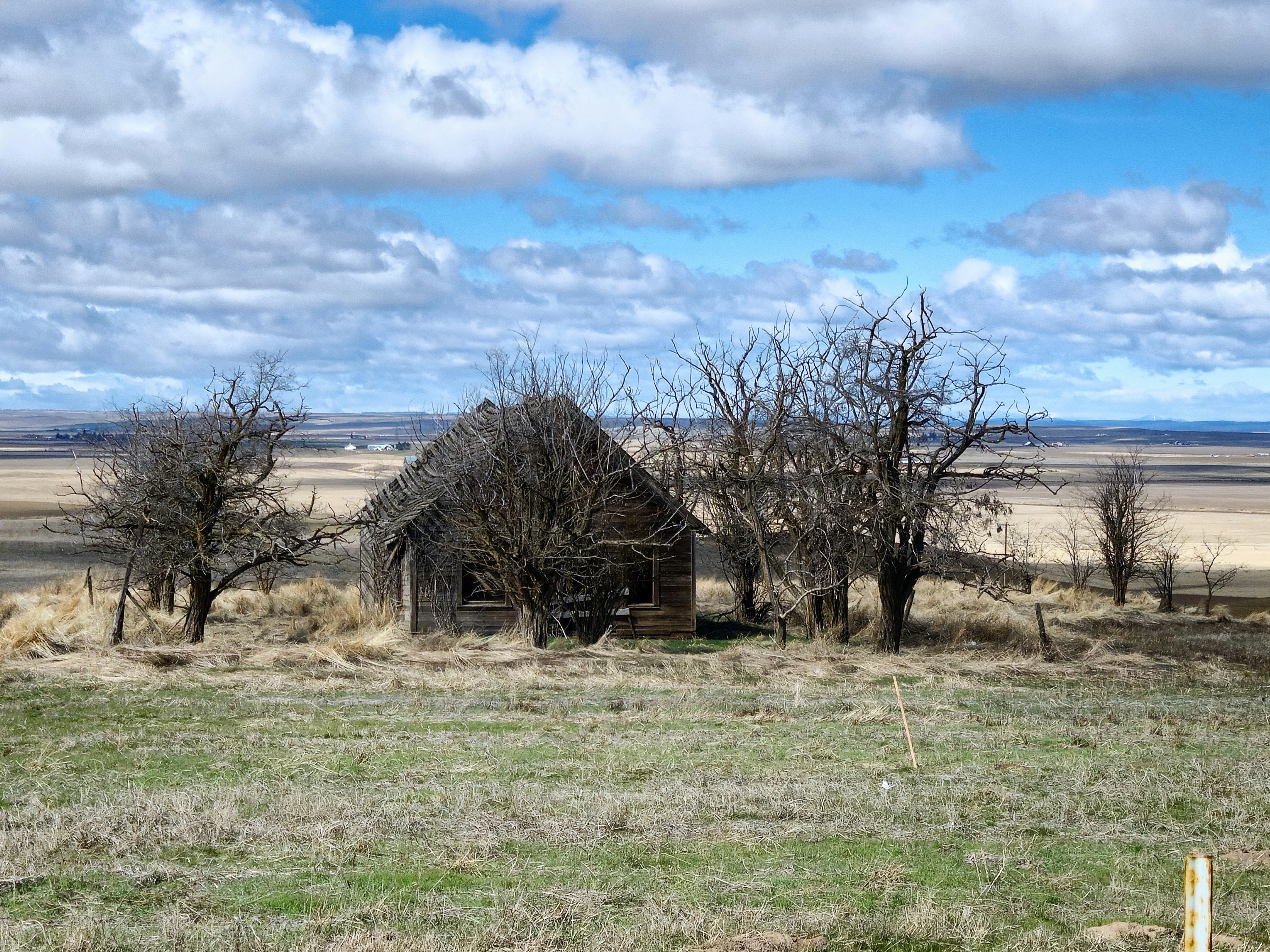 Genevieve McDougle (@genevievekathryn) | Unsplash Photo Community