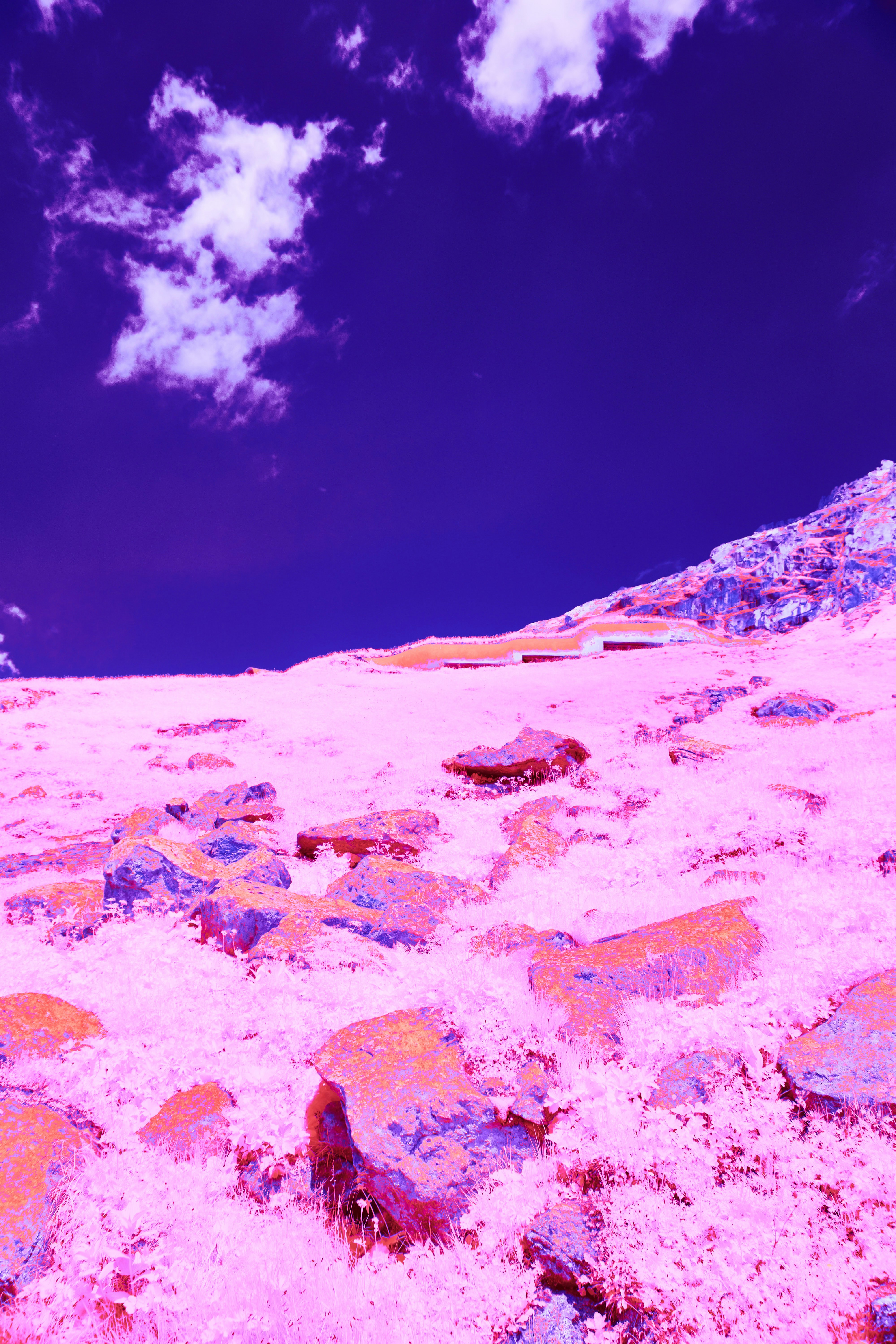 Photo by Wolfgang Hasselmann with Sony Alpha 7 II