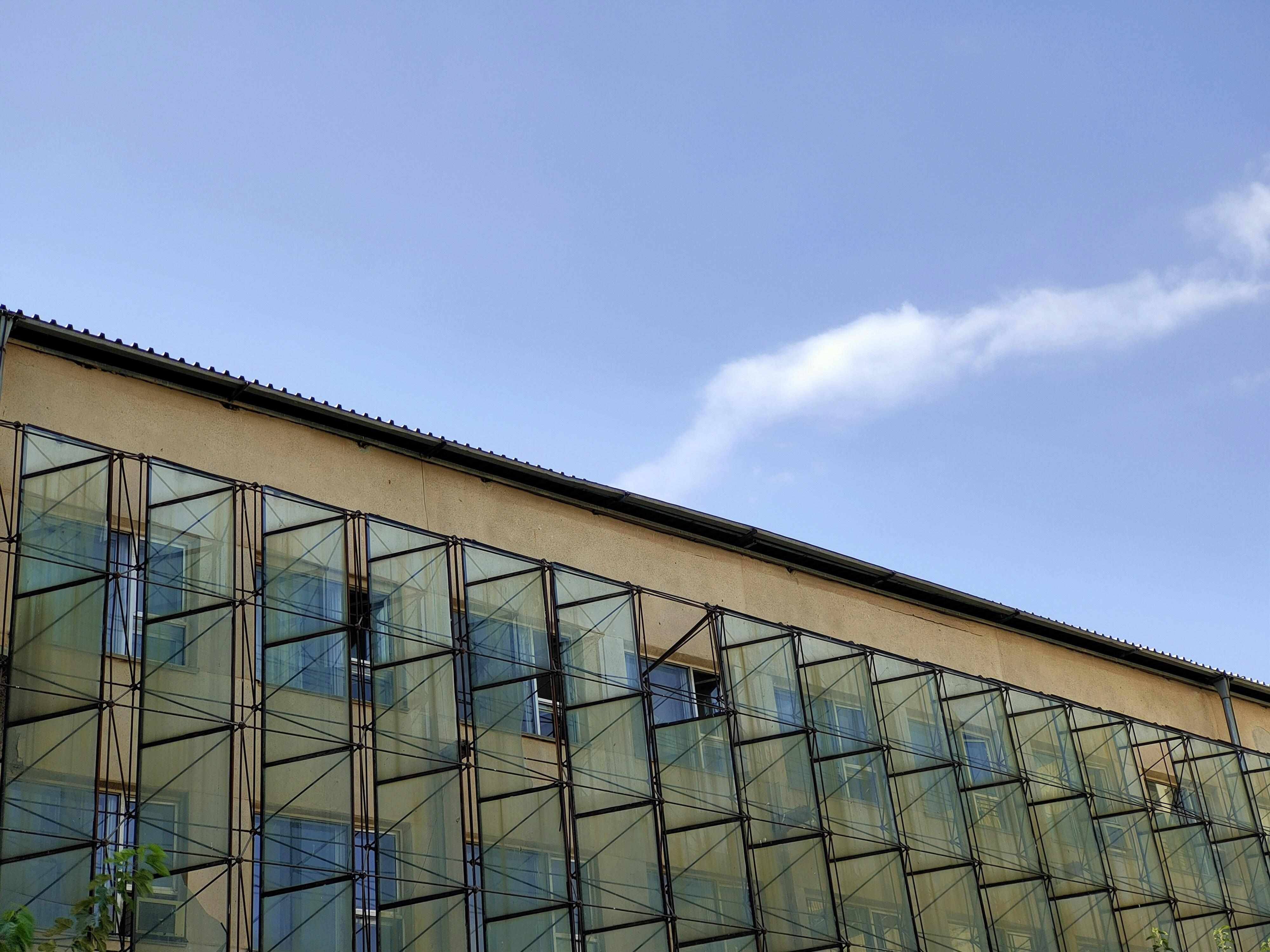 Sample photo from Realme X50