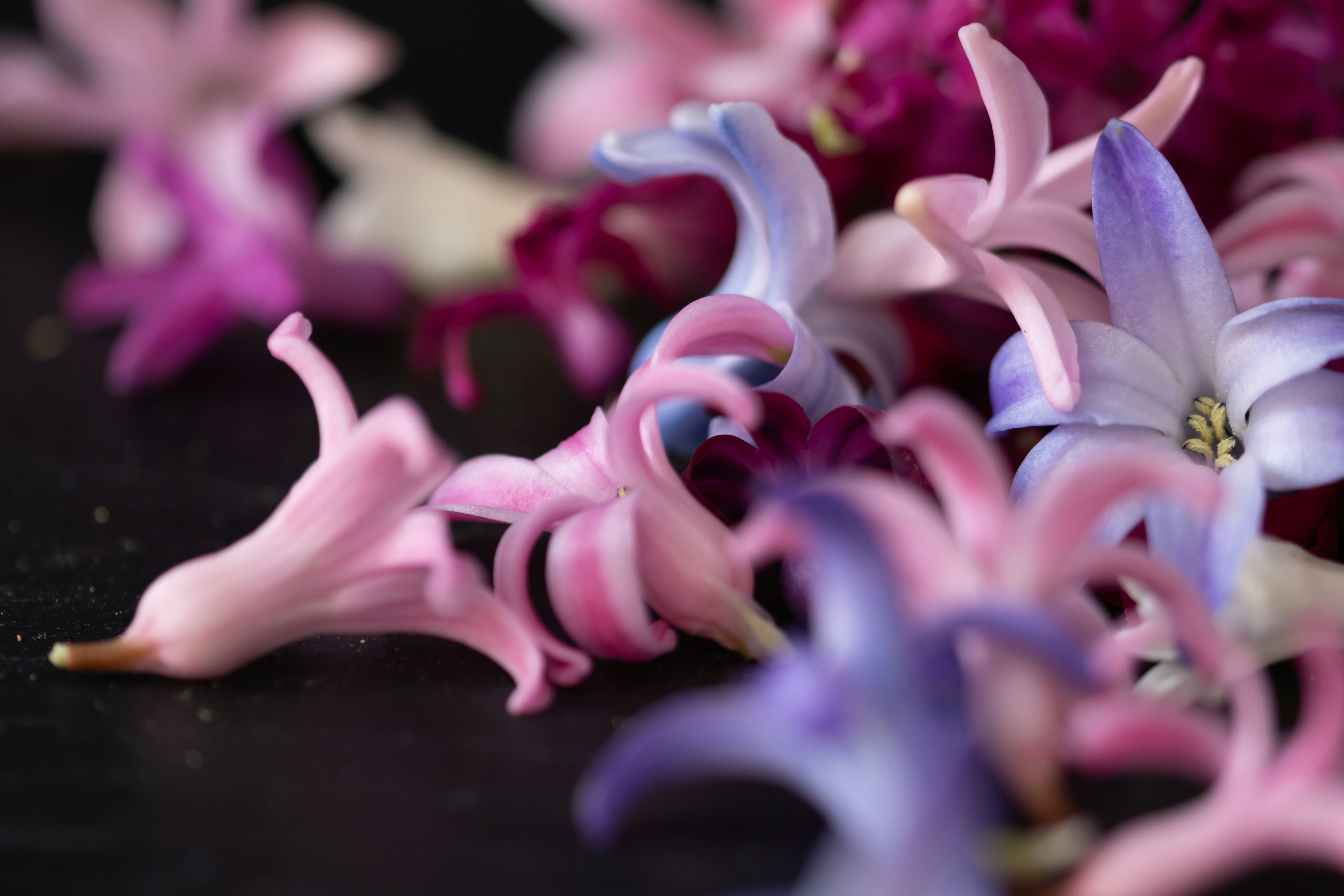 a bunch of flowers that are on a table