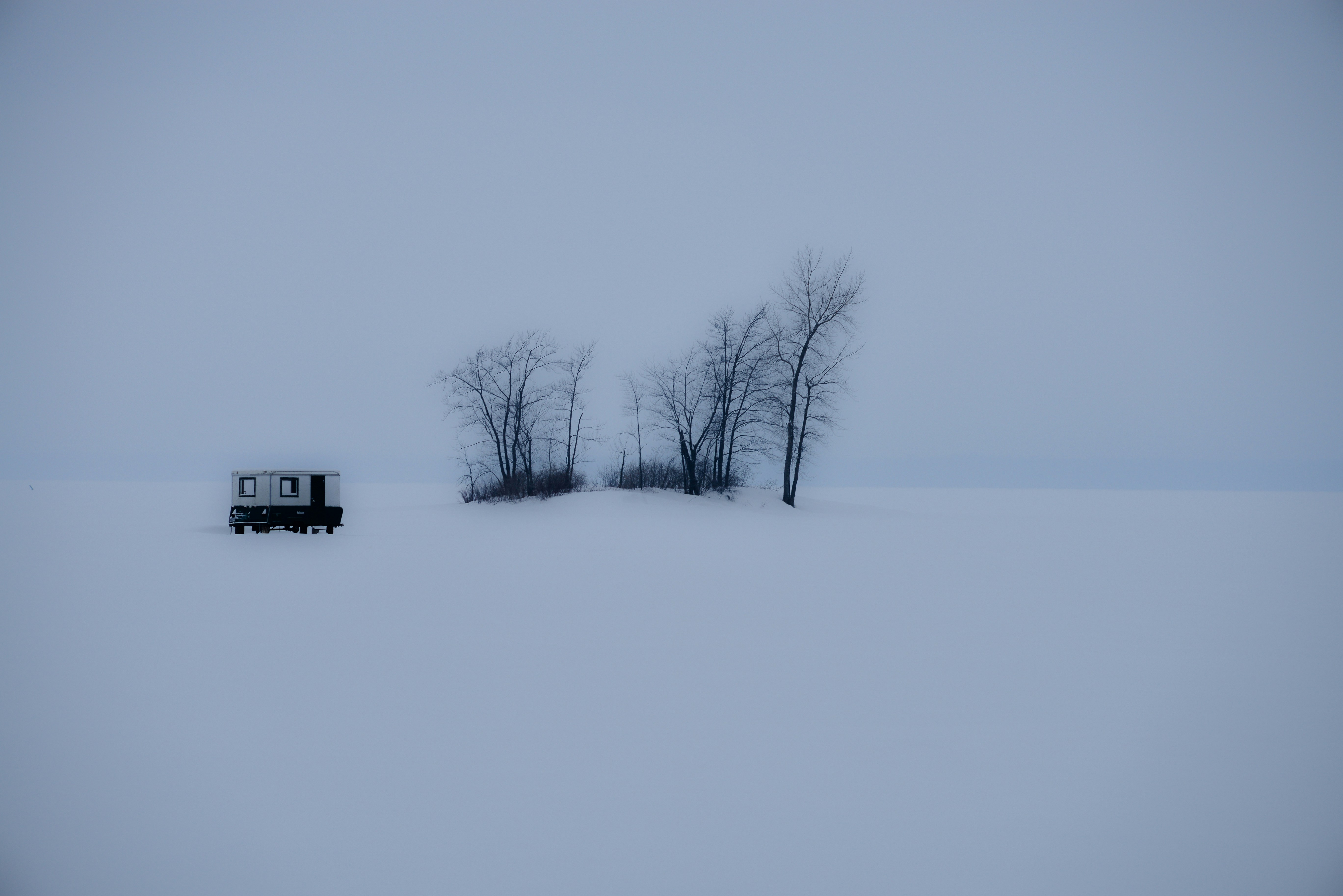 Three Silent Trees and a Lone Vehicle on a Bleached Winter Plain
