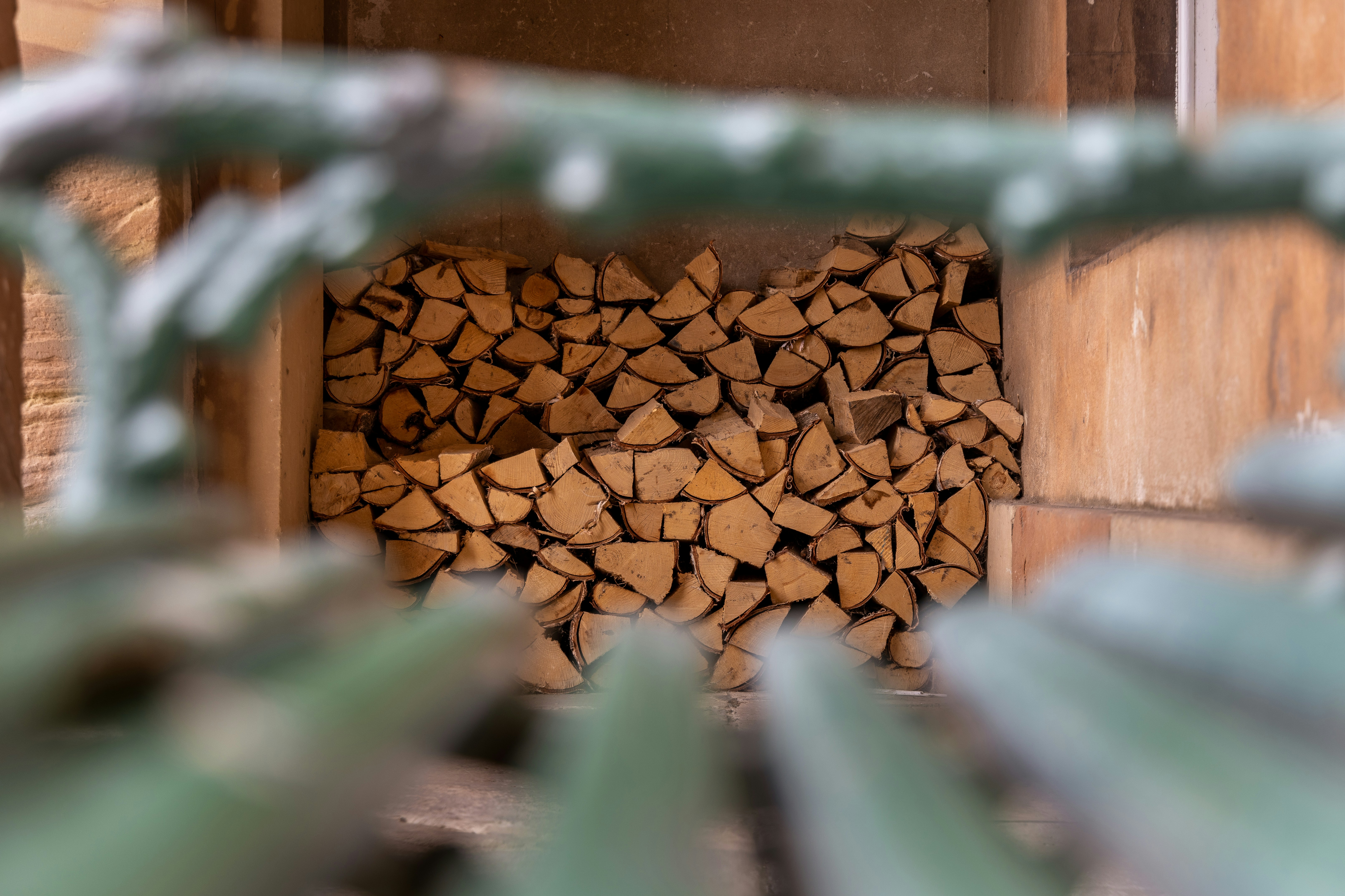 Log Stack Through a Green Veil: Woodpile Framed by Soft Foliage