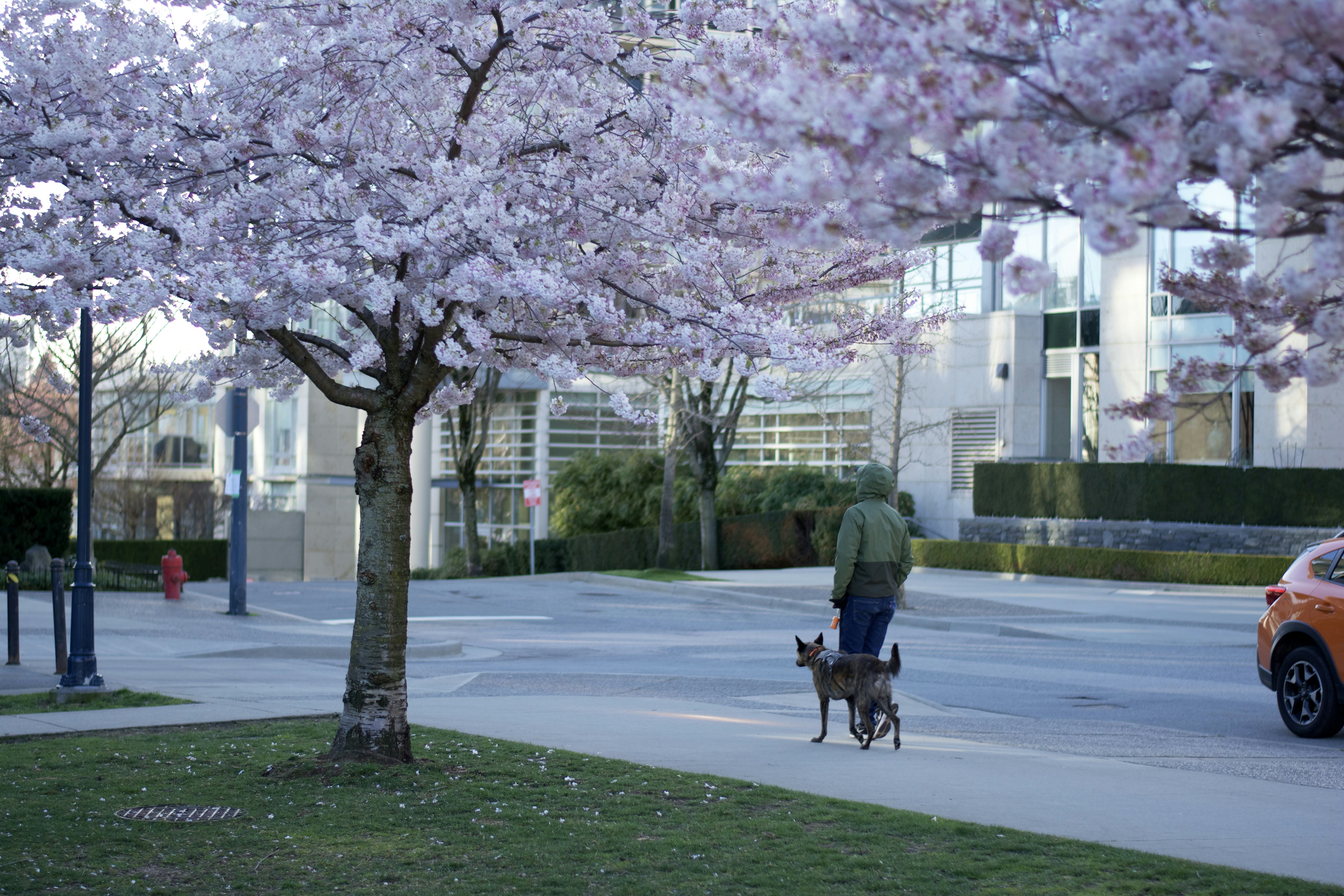 Photo by Hossein Soltanloo with Nikon D7100