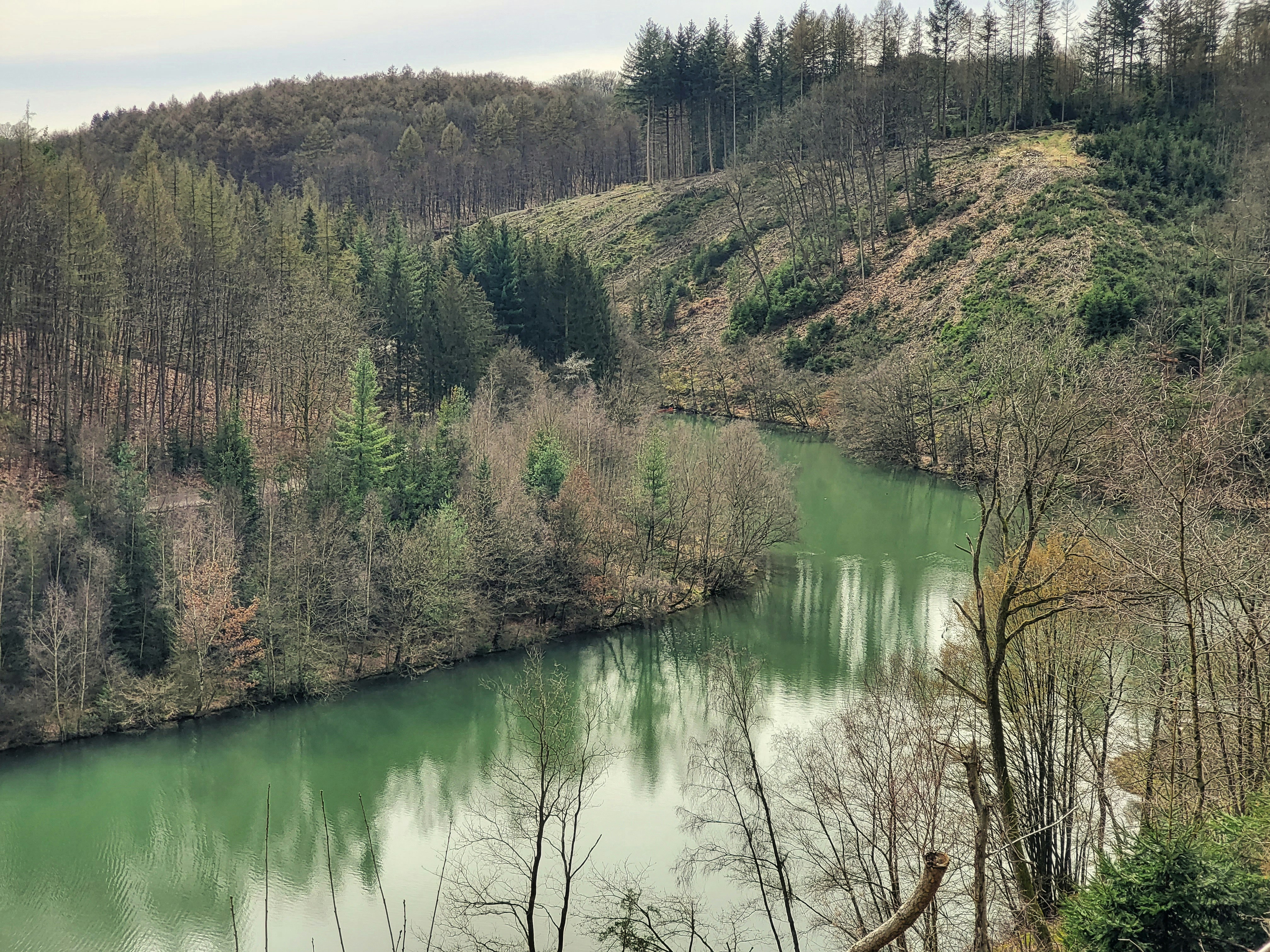 Serene green river winding through a forested valley with bare and evergreen trees under an overcast sky.