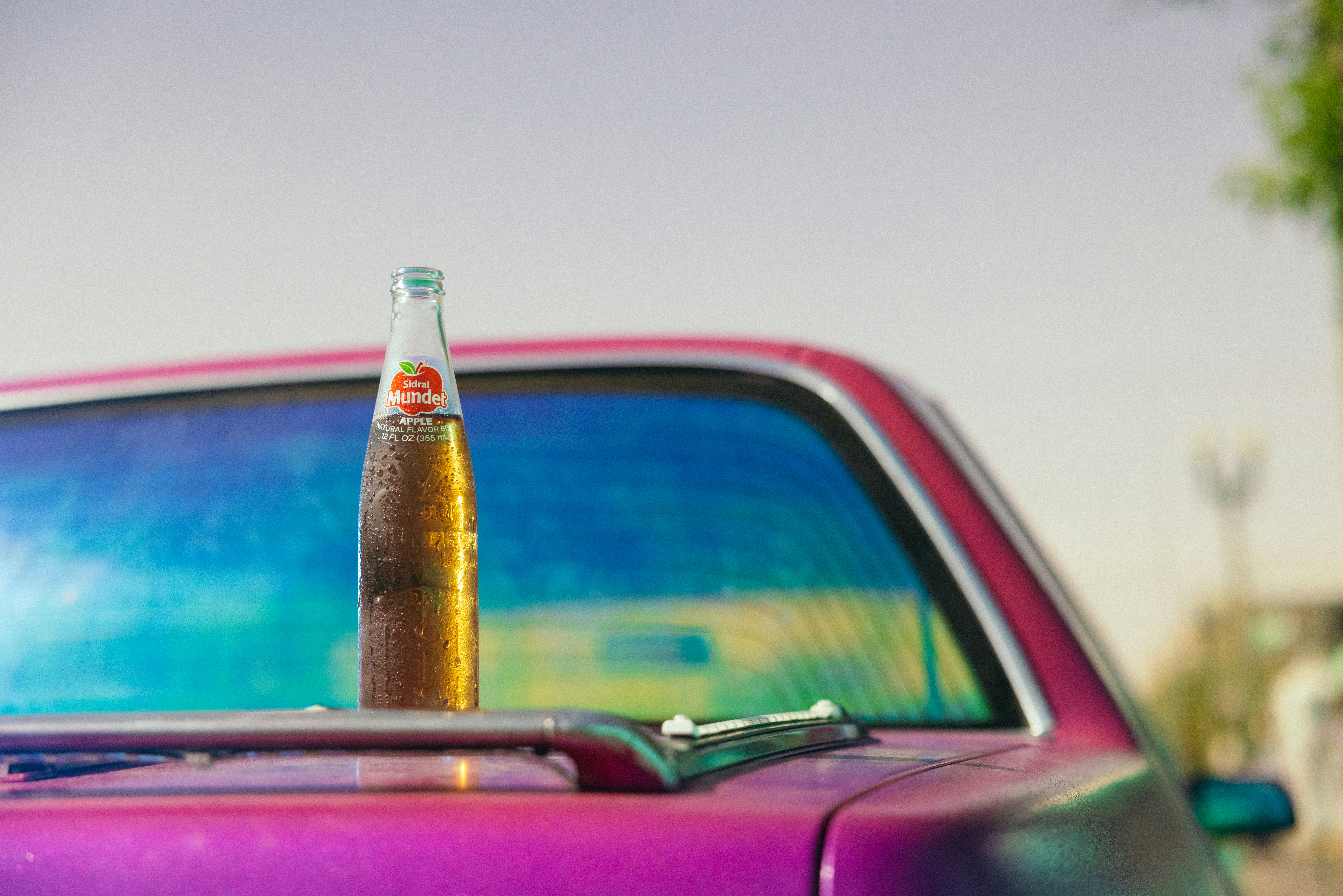 A lone bottle rests on the hood of a pink vintage car, with a turquoise windshield glow and softly blurred background.