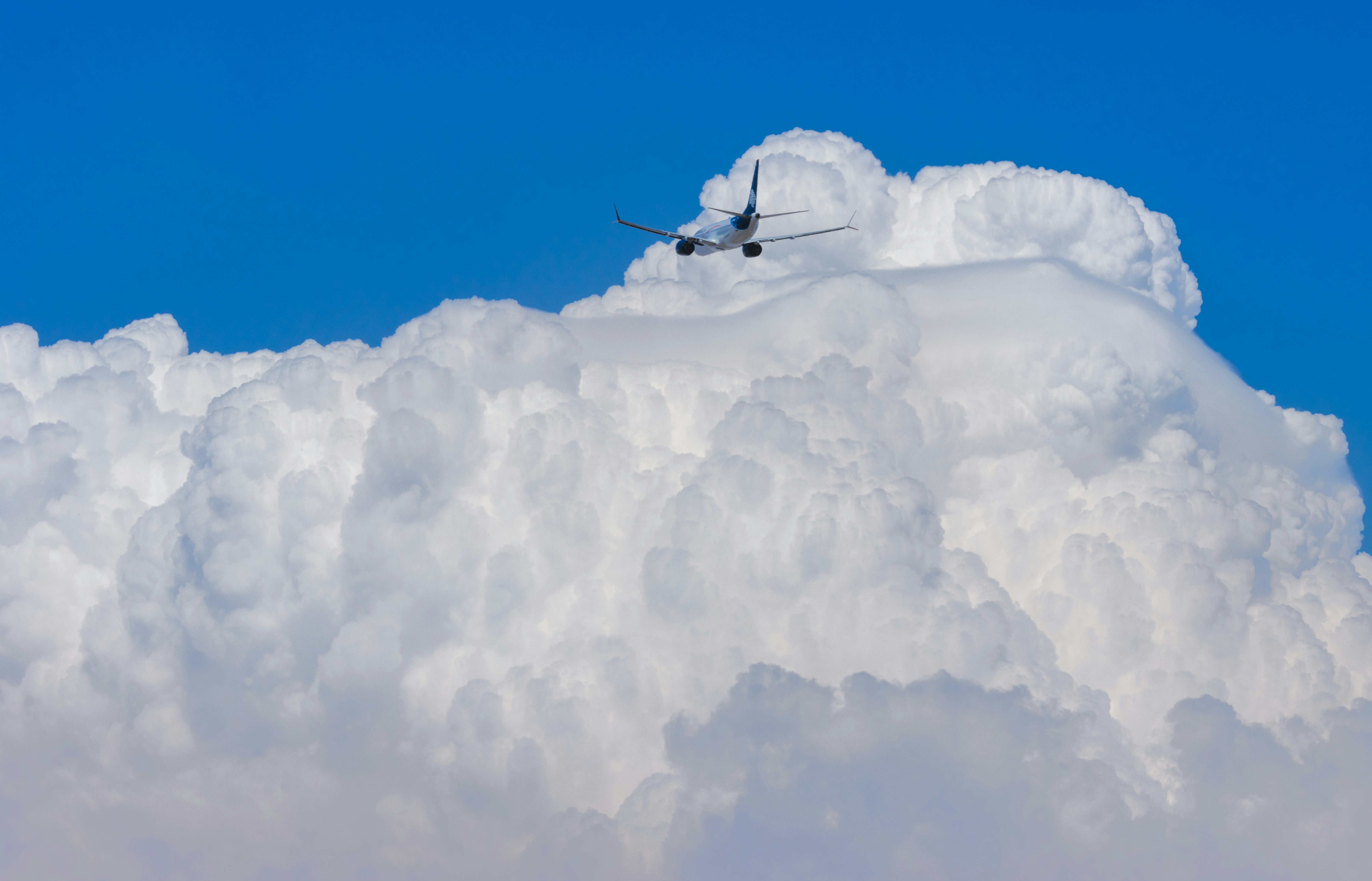 Photo by Roger Ce with Canon EOS 90D