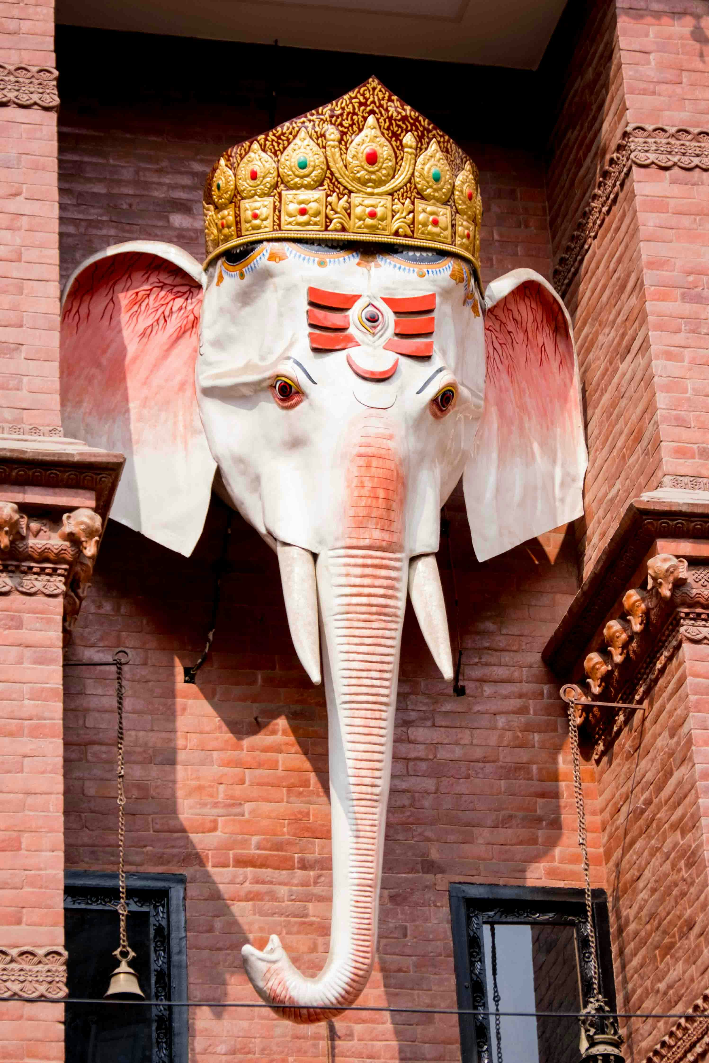 Photo by Frederick Shaw with Fujifilm X-H2S