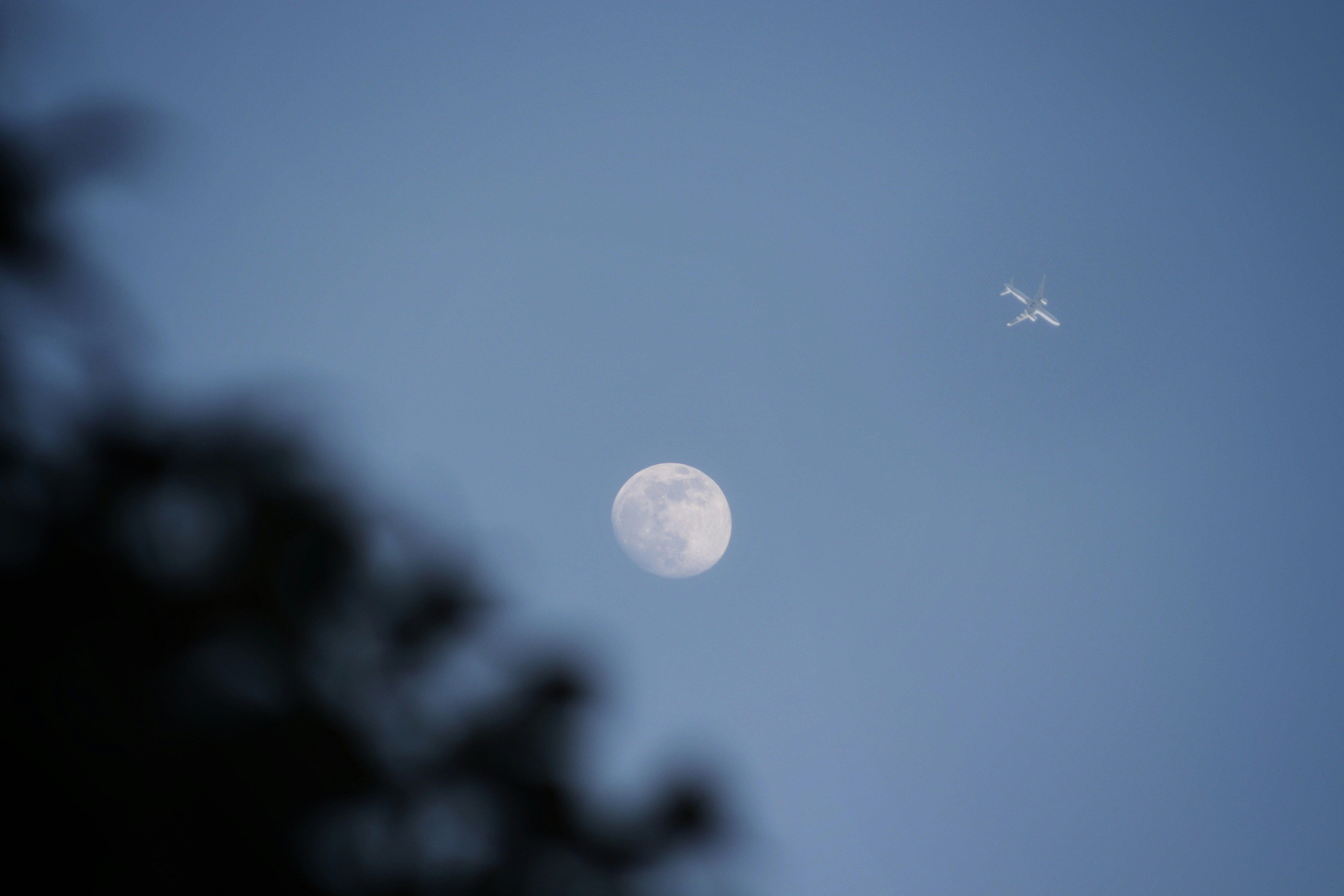 A plane flying in the sky with the moon in the background photo – Free ...