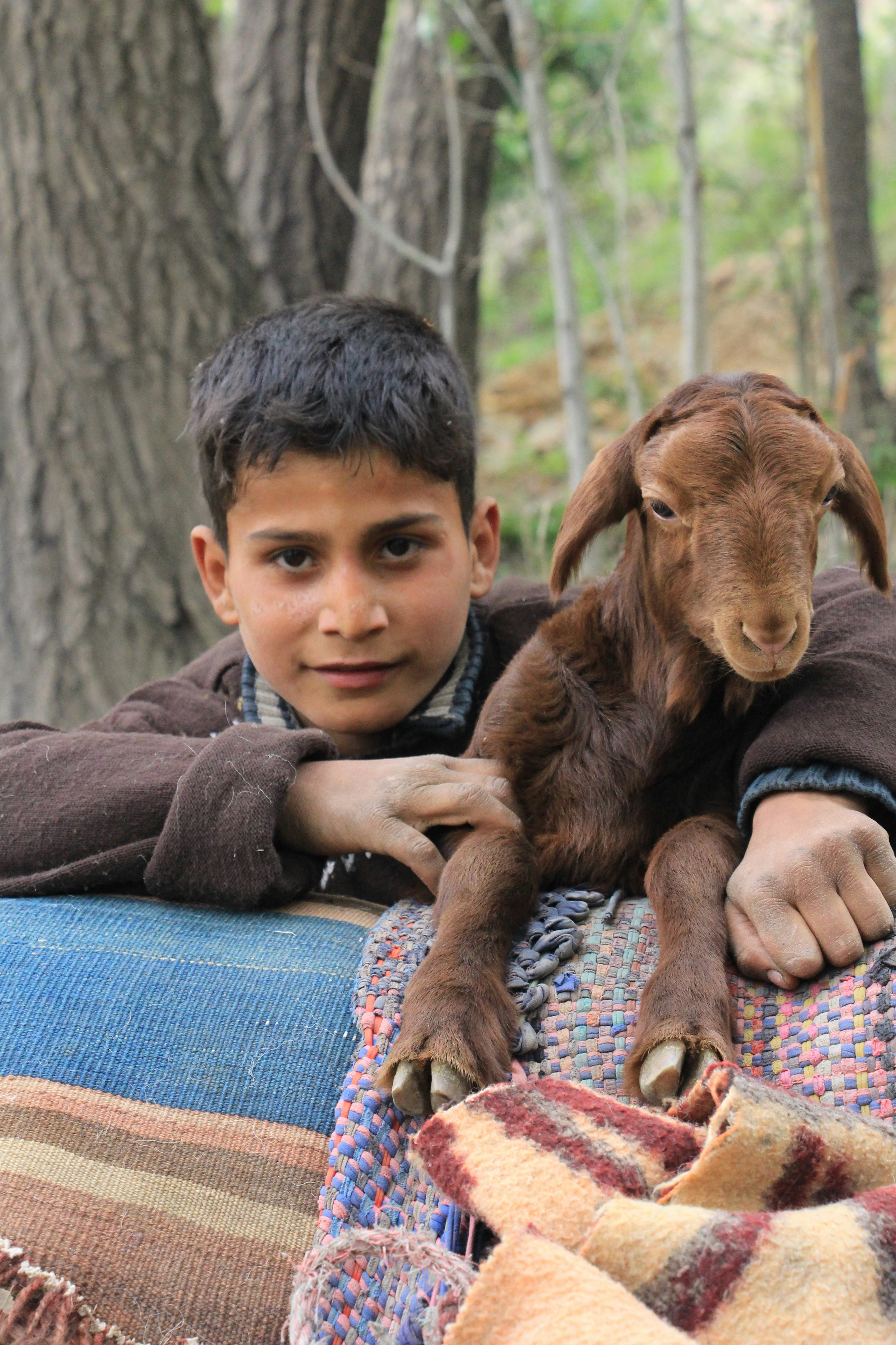 a young boy holding a baby goat on top of a blanket