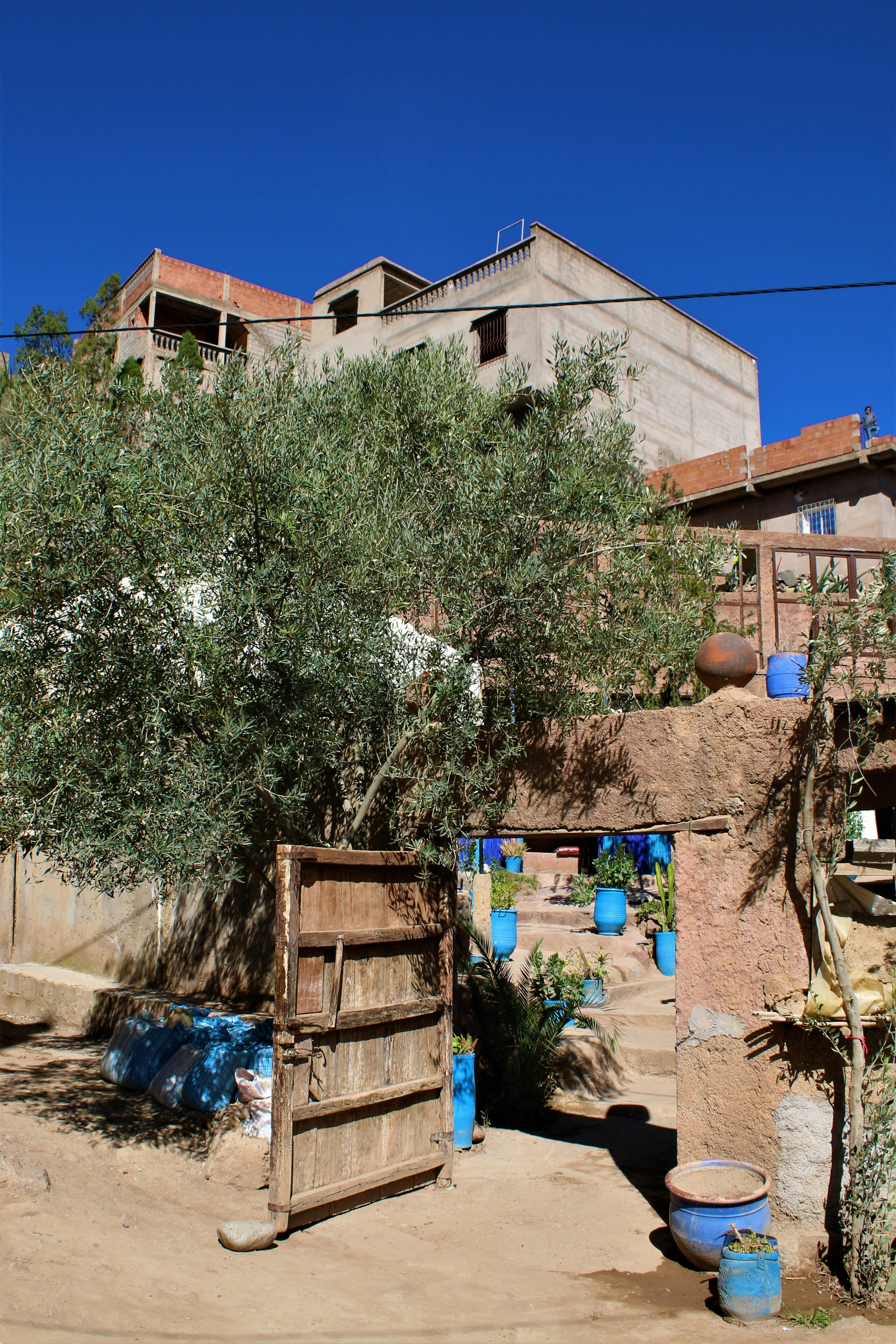 Photo by Pramod Kumar Sharma with Canon EOS 70D