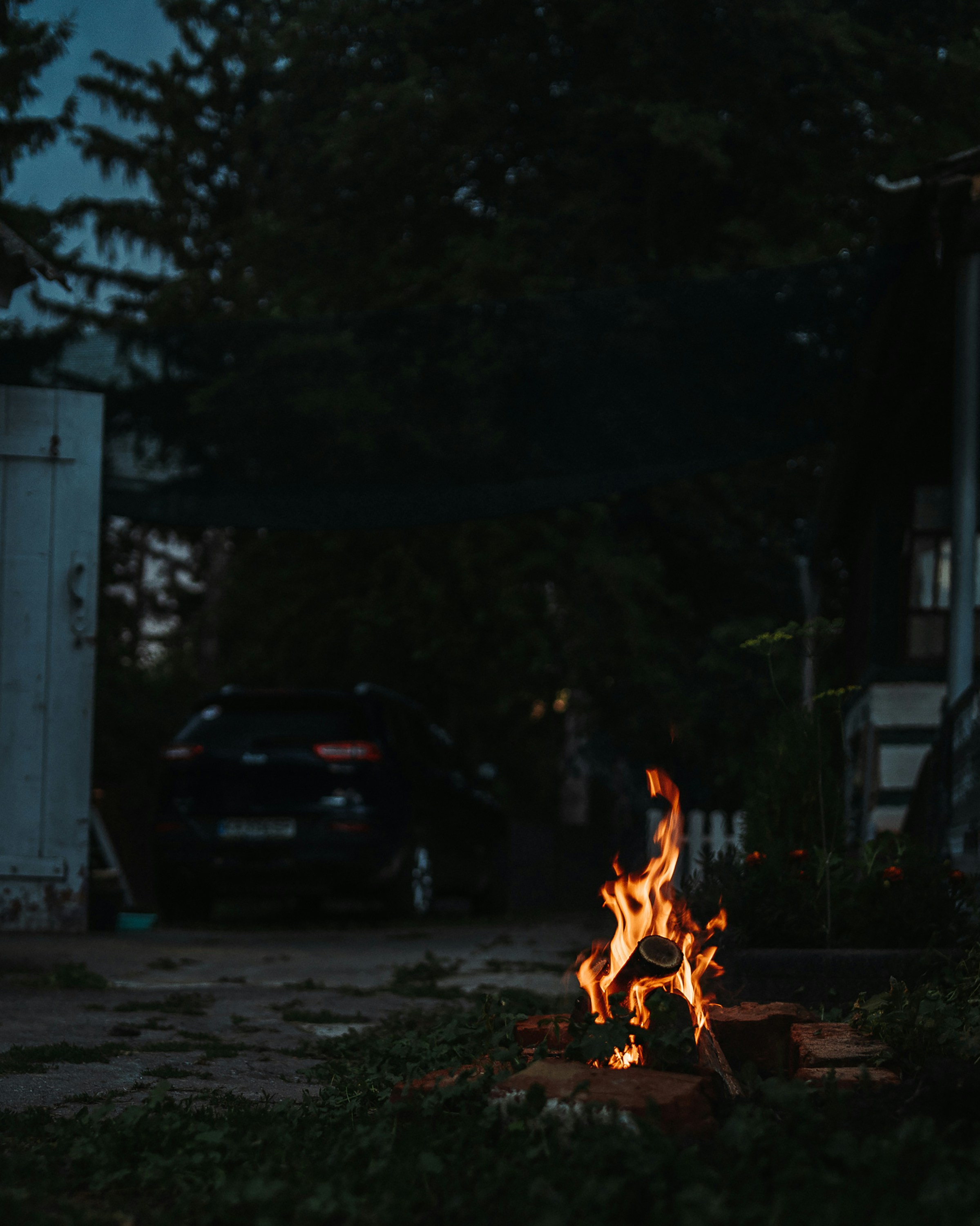 Photo by Vitalii Khodzinskyi with Sony Alpha 7 III