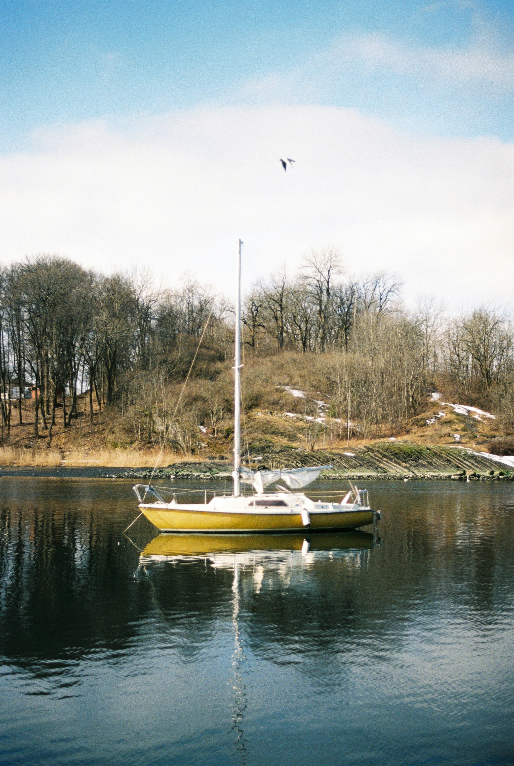 Photo by Lawrence Krowdeed with Fujifilm SP-3000