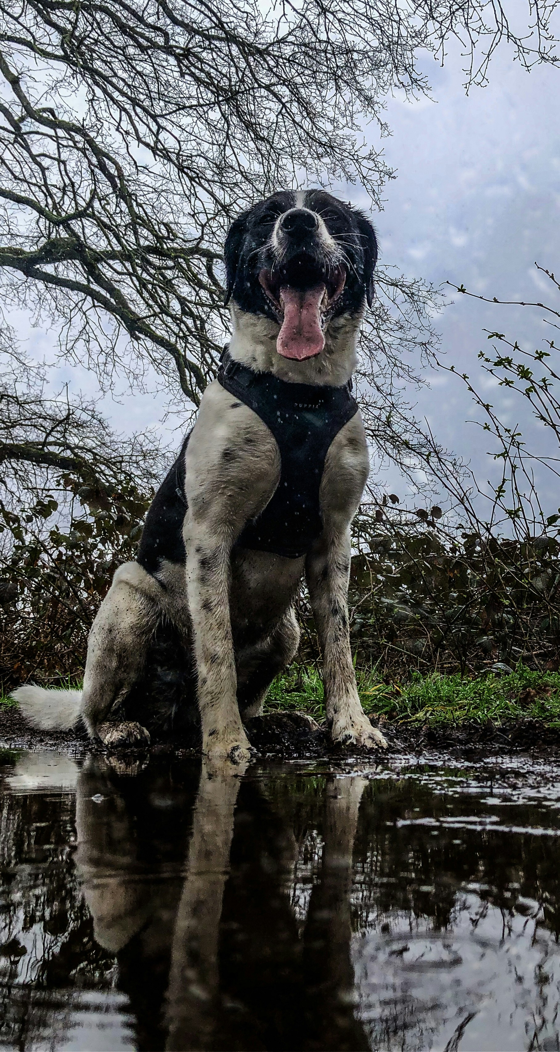 Bram Schepers (@marbdewceend) | Komunitas Foto Unsplash