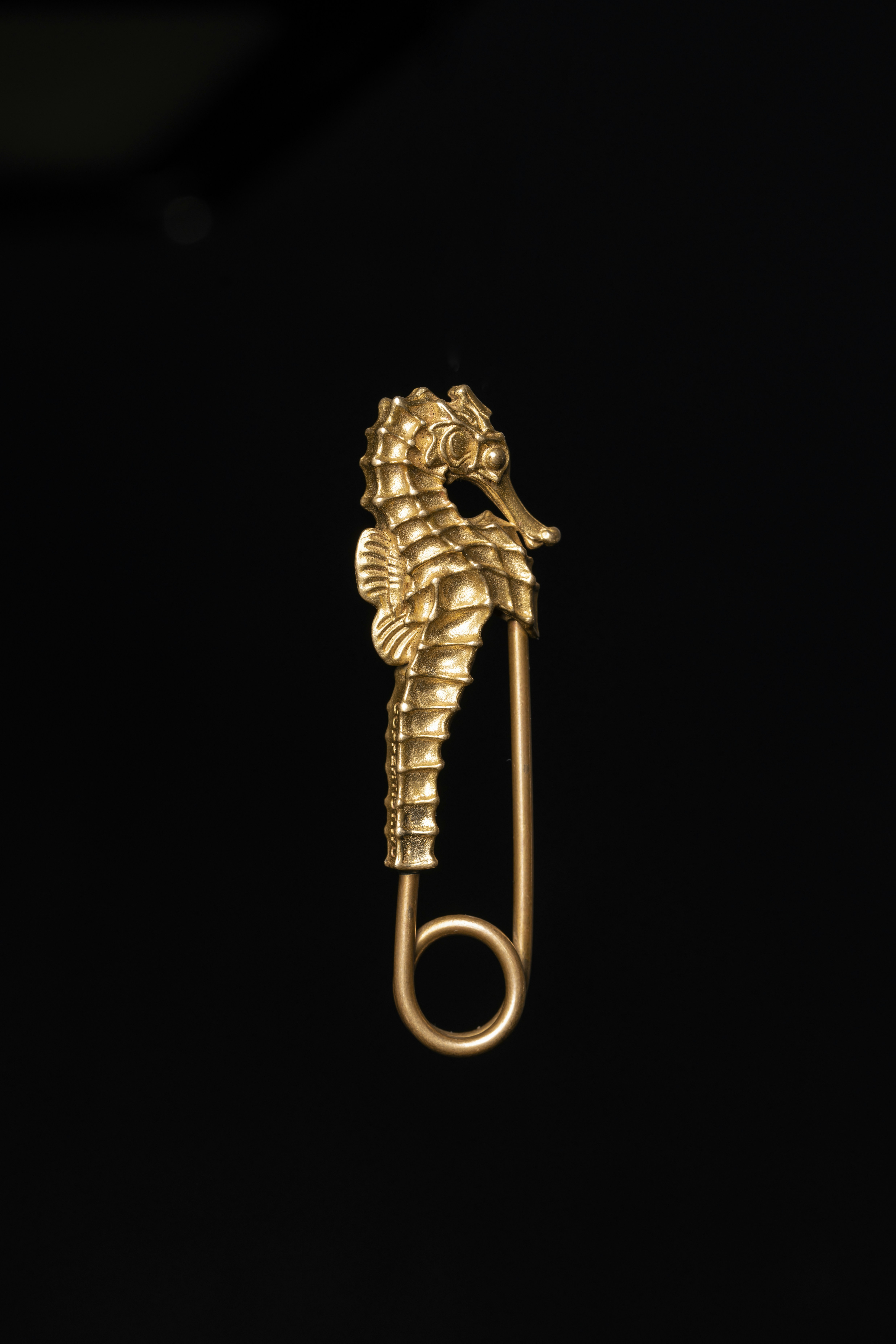 A gold seahorse hook on a black background photo – Free Animal Image on ...