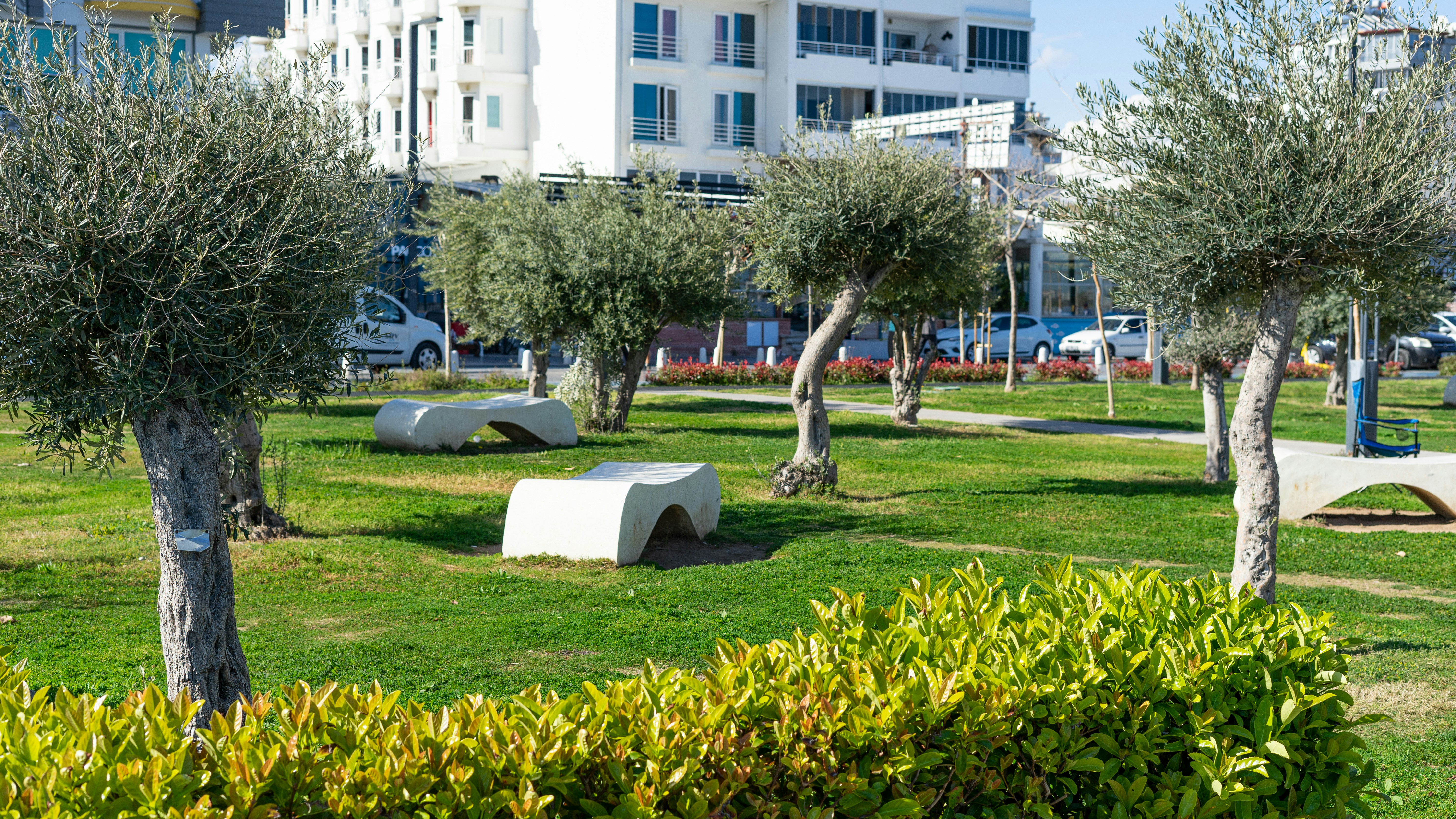 Photo by Victoria Kos with Sony Alpha 7 II