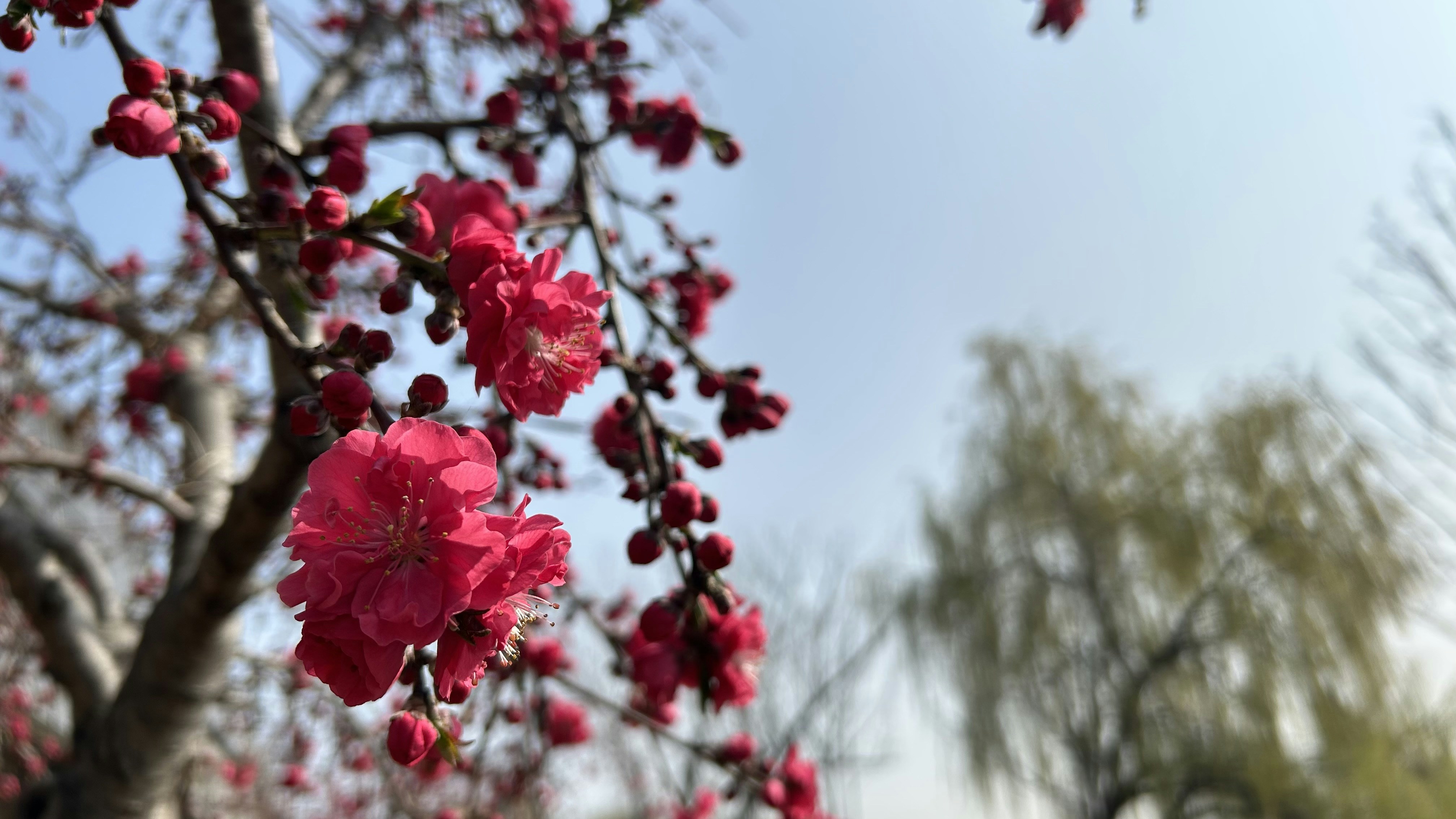 Photo by Changdae Byun with Apple iPhone 14