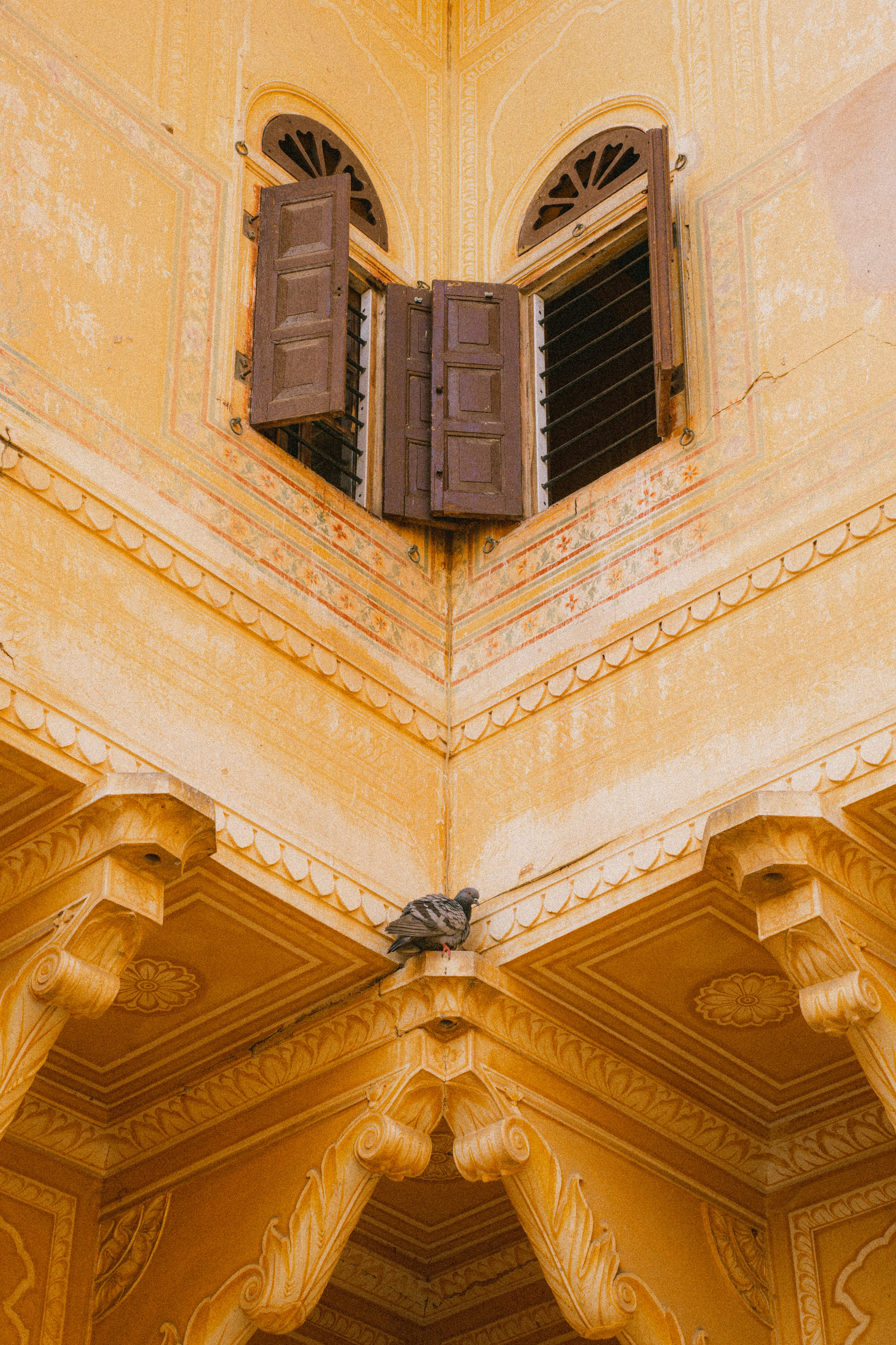 Open wooden shutters reveal intricate architectural details in a historic structure, complemented by a resting pigeon. 