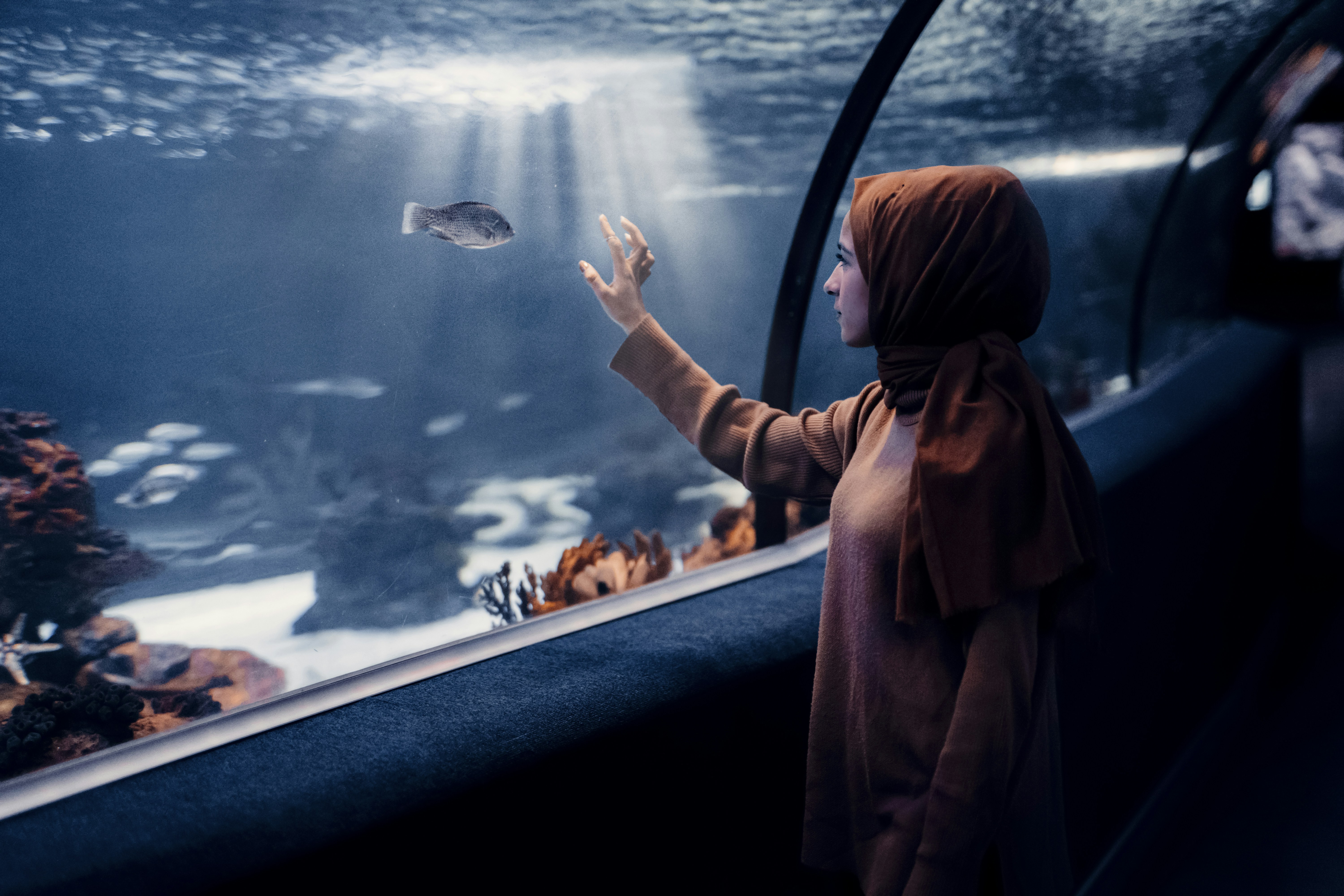 Woman in a brown outfit reaching towards a fish through a curved aquarium window illuminated by soft light.