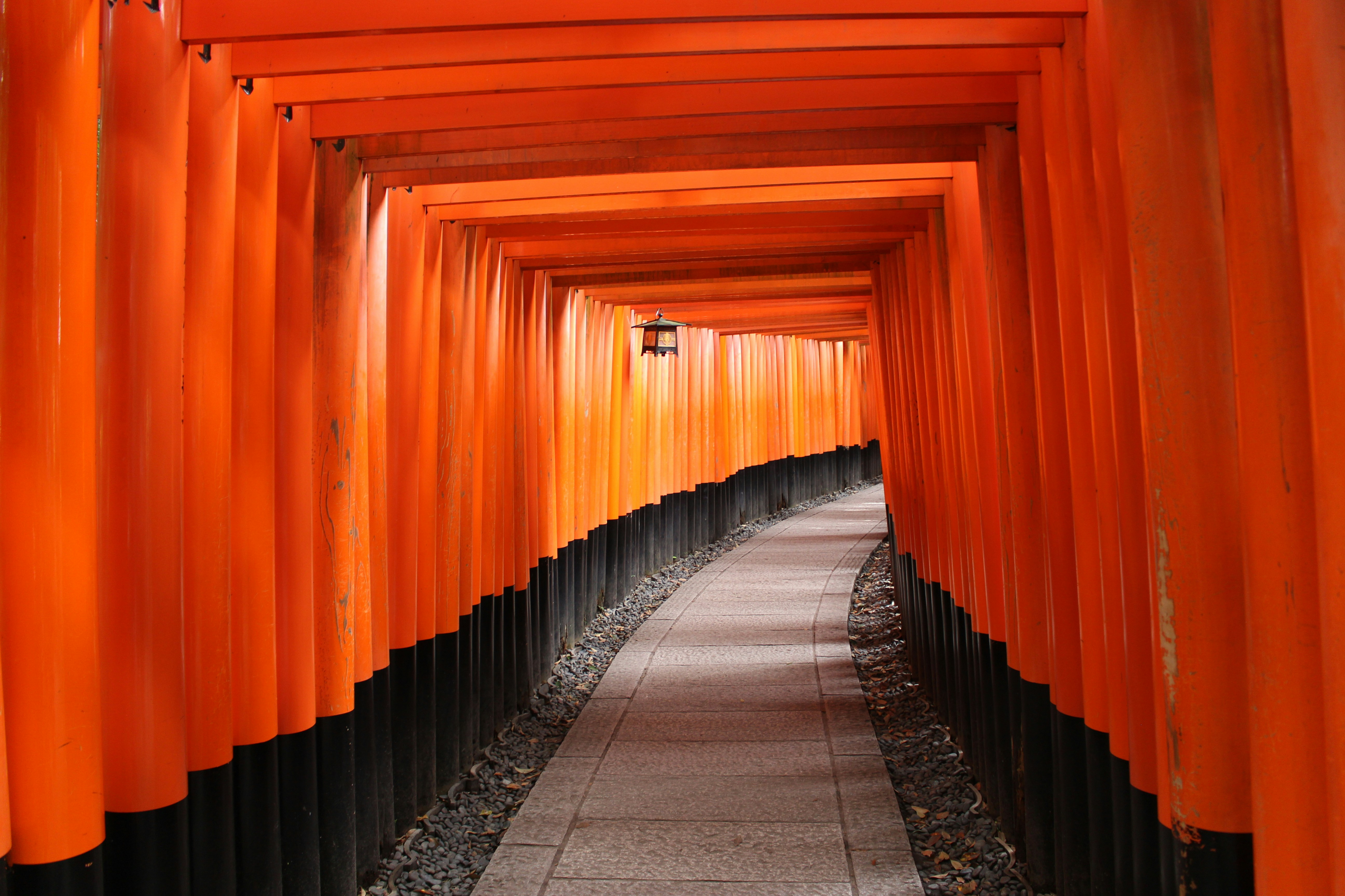 A walkway lined with orange gates leading into the distance photo ...