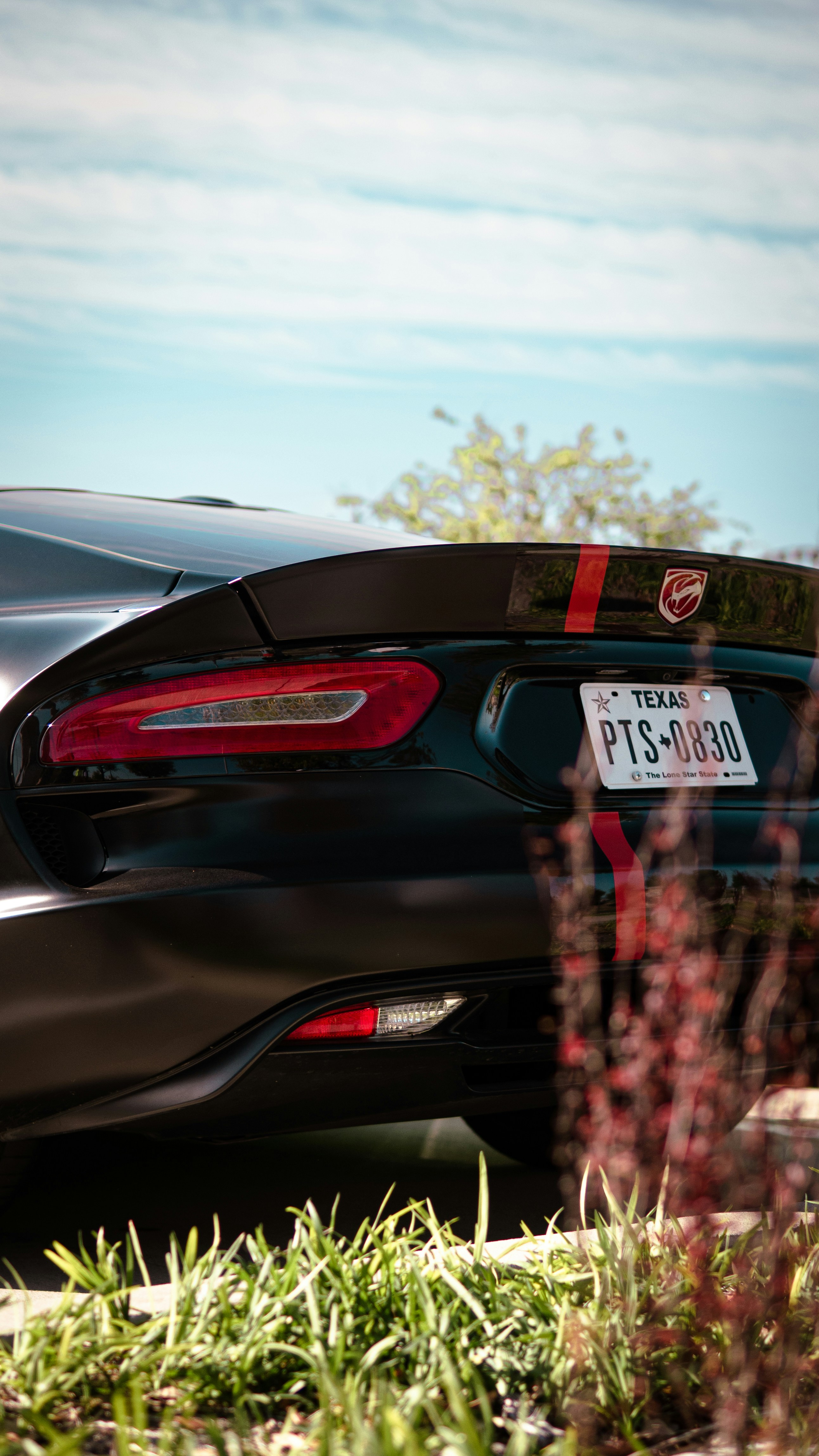 Red Stripe, Texas Plate: A Black Convertible's Quiet Rear Portrait