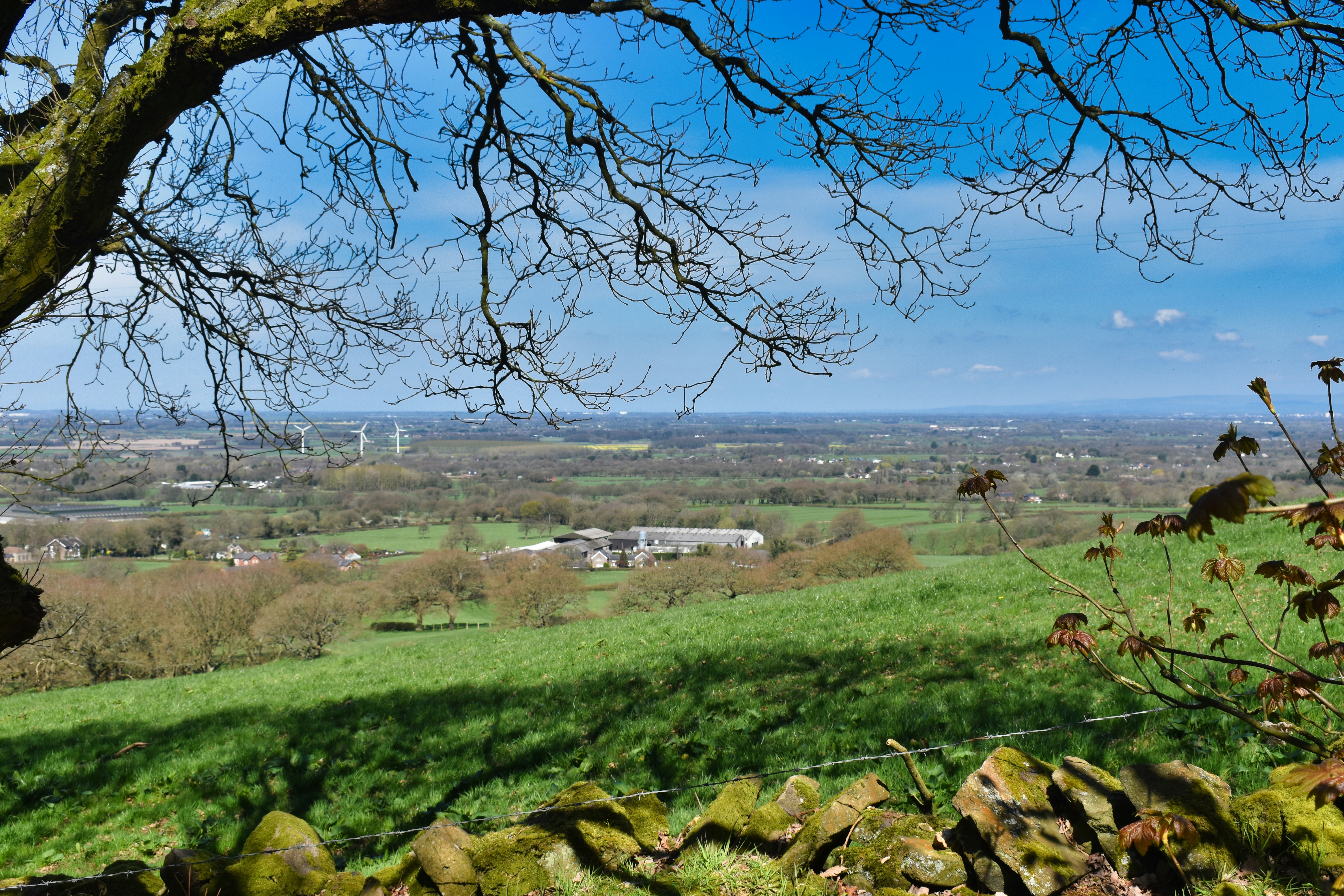 Valley Horizon: Wind Turbines Framing a Verdant Landscape