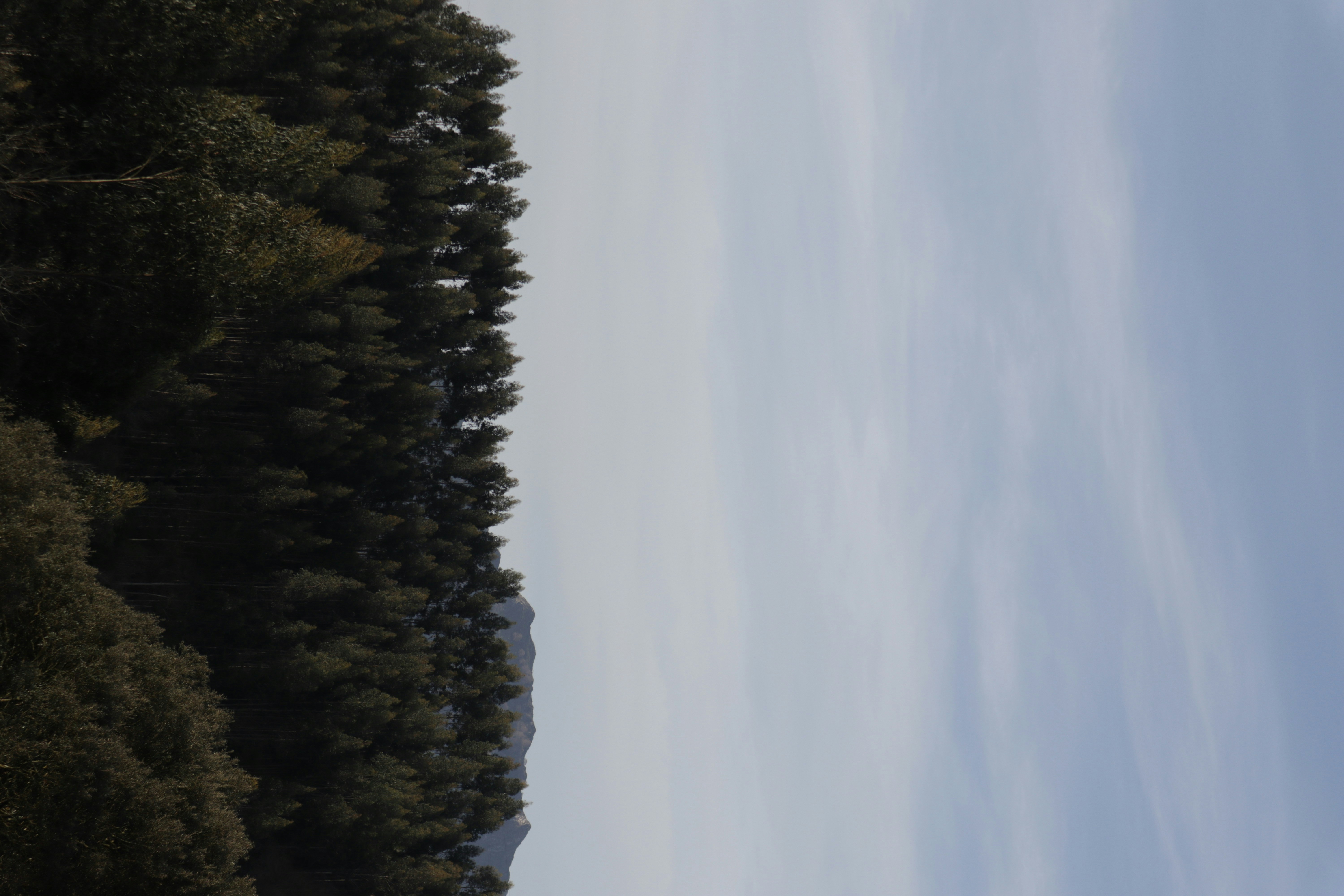 a large group of trees in the distance photo – Free Ribadesella Image ...