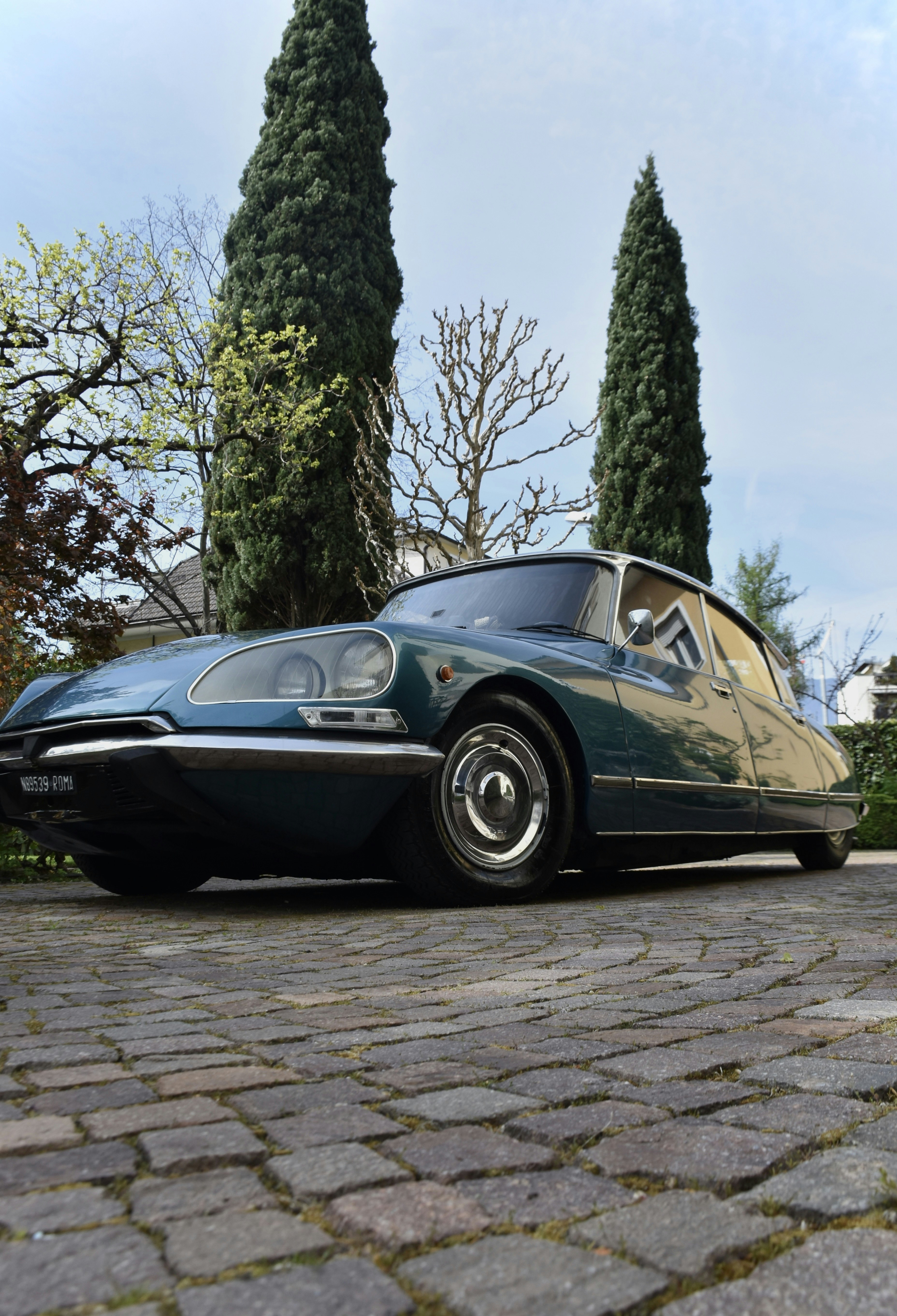 Low-Angle Glimpse of a Classic: Mint Turquoise Car Under Tall Evergreens