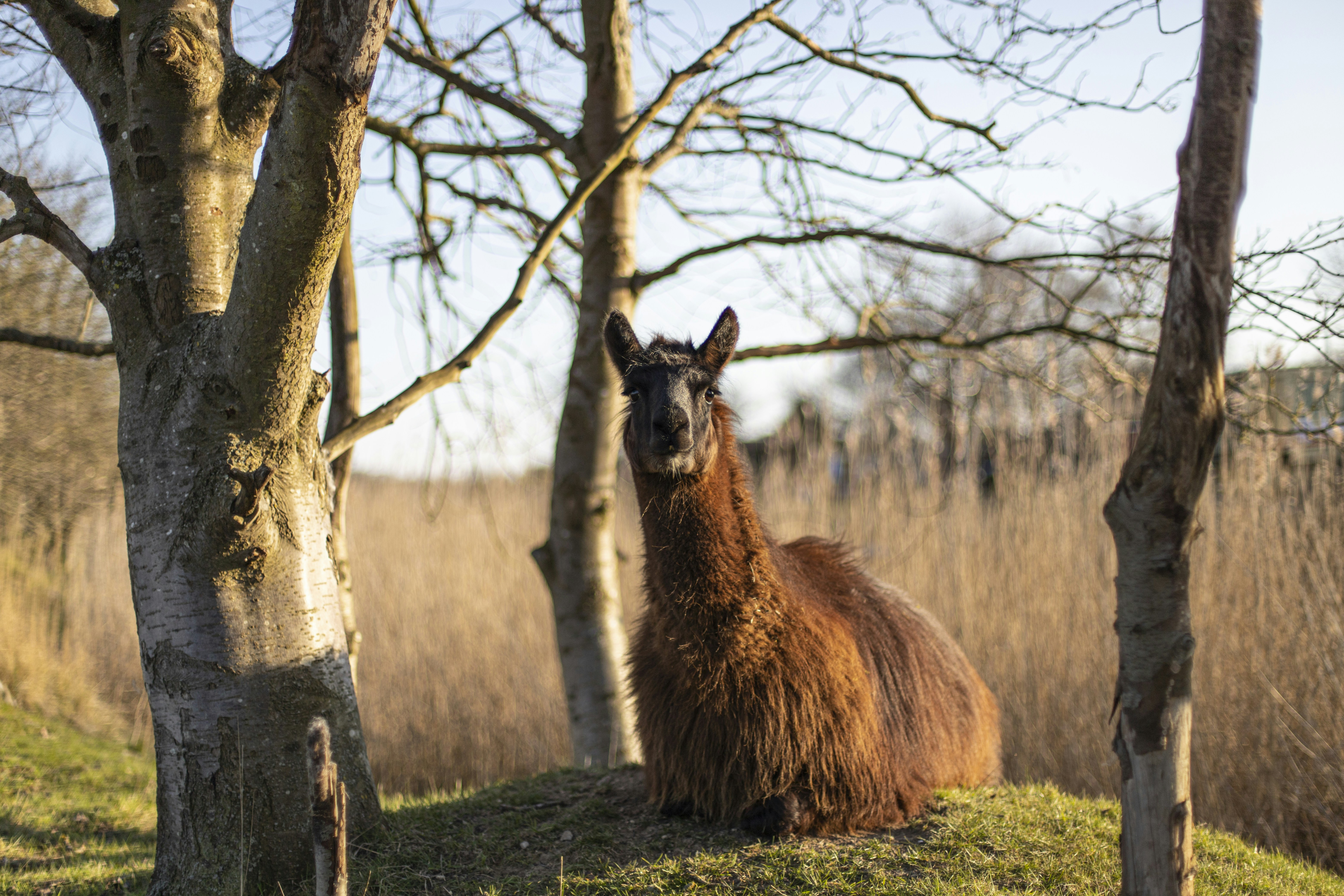 Photo by Milica Randelovic with Canon EOS 6D Mark II