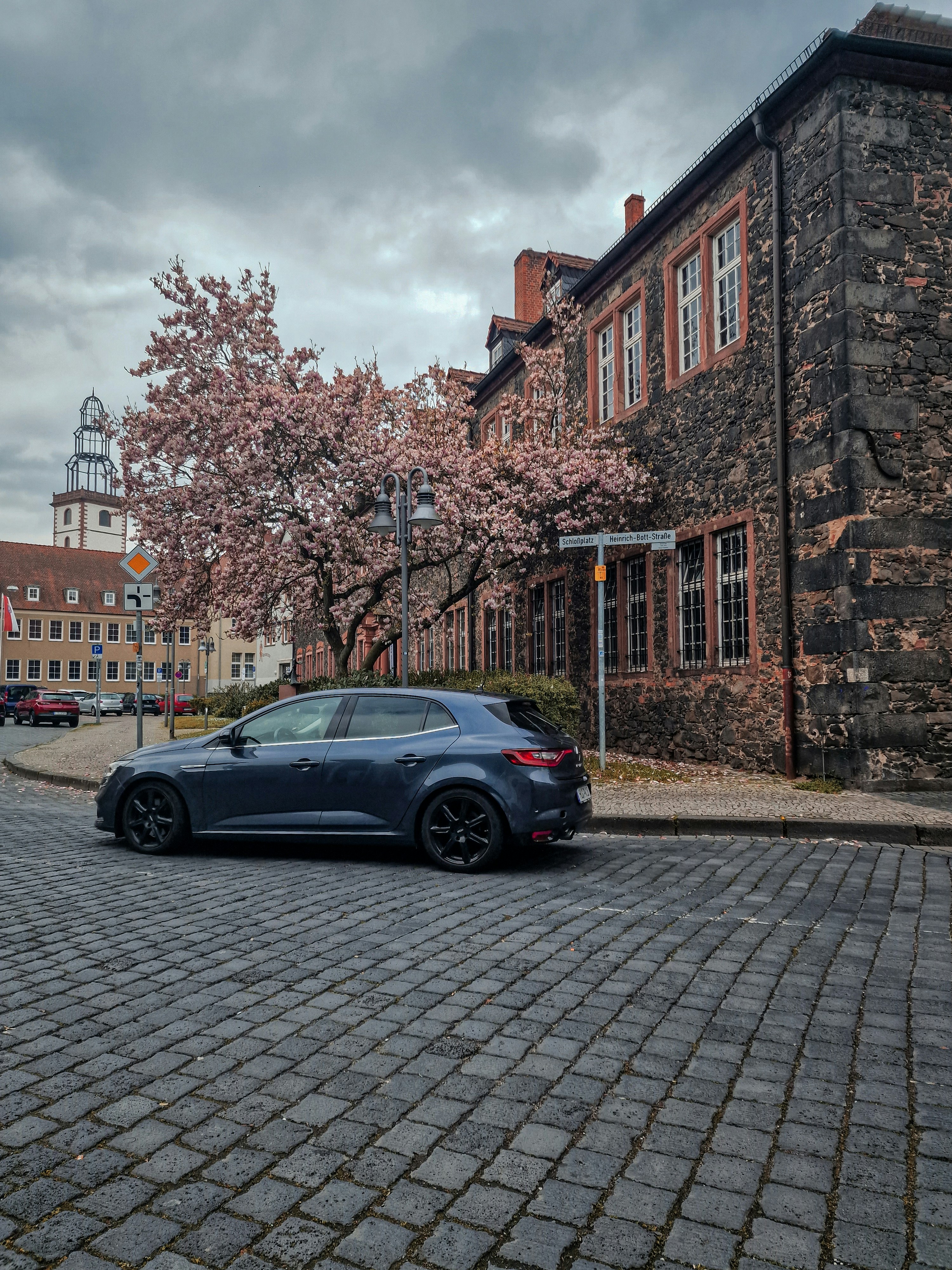 Cobalt Sedan Under Blossoms: A Cobblestone Street Portrait