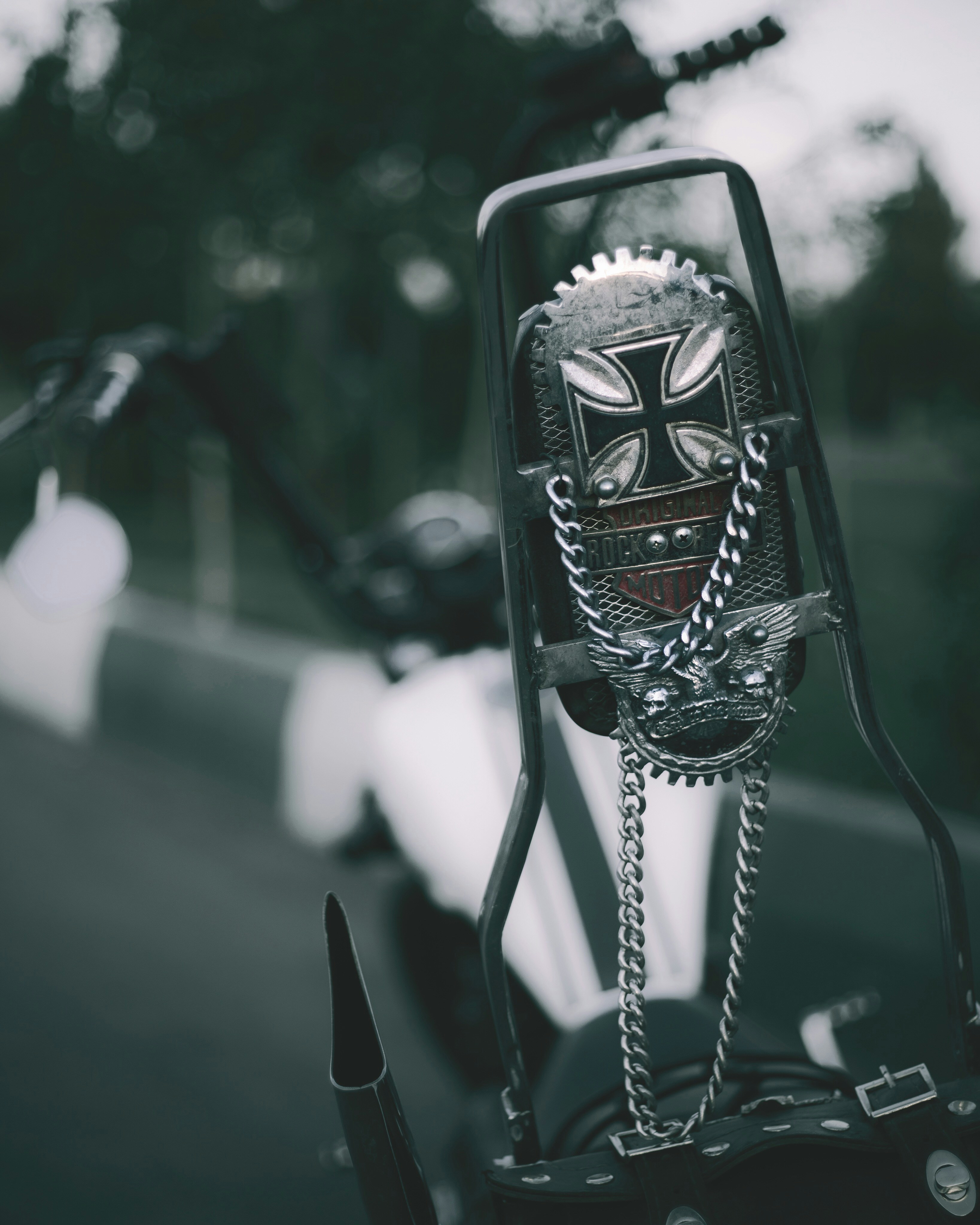 Gothic Emblem on a Chrome Fender: A Motorcycle’s Dark Ornament