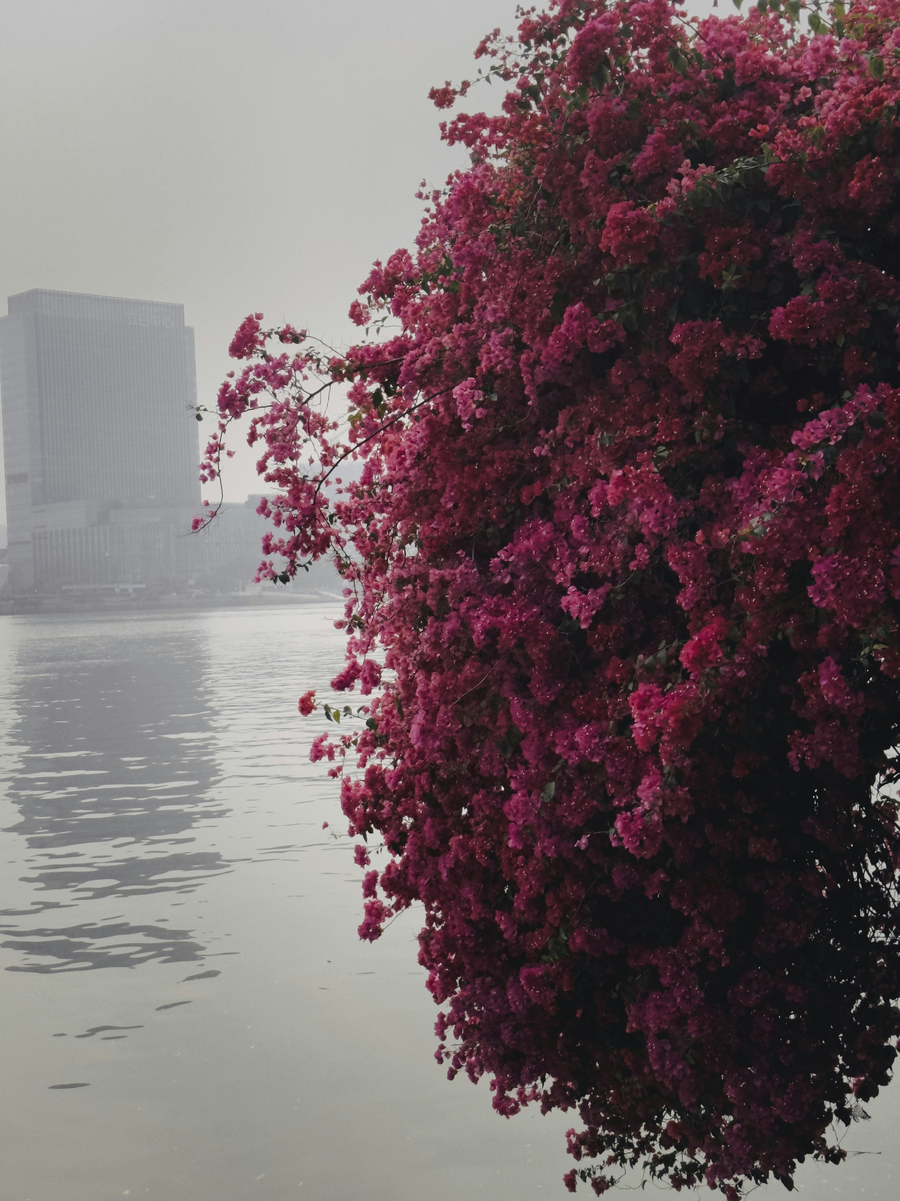 a large body of water with a building in the background