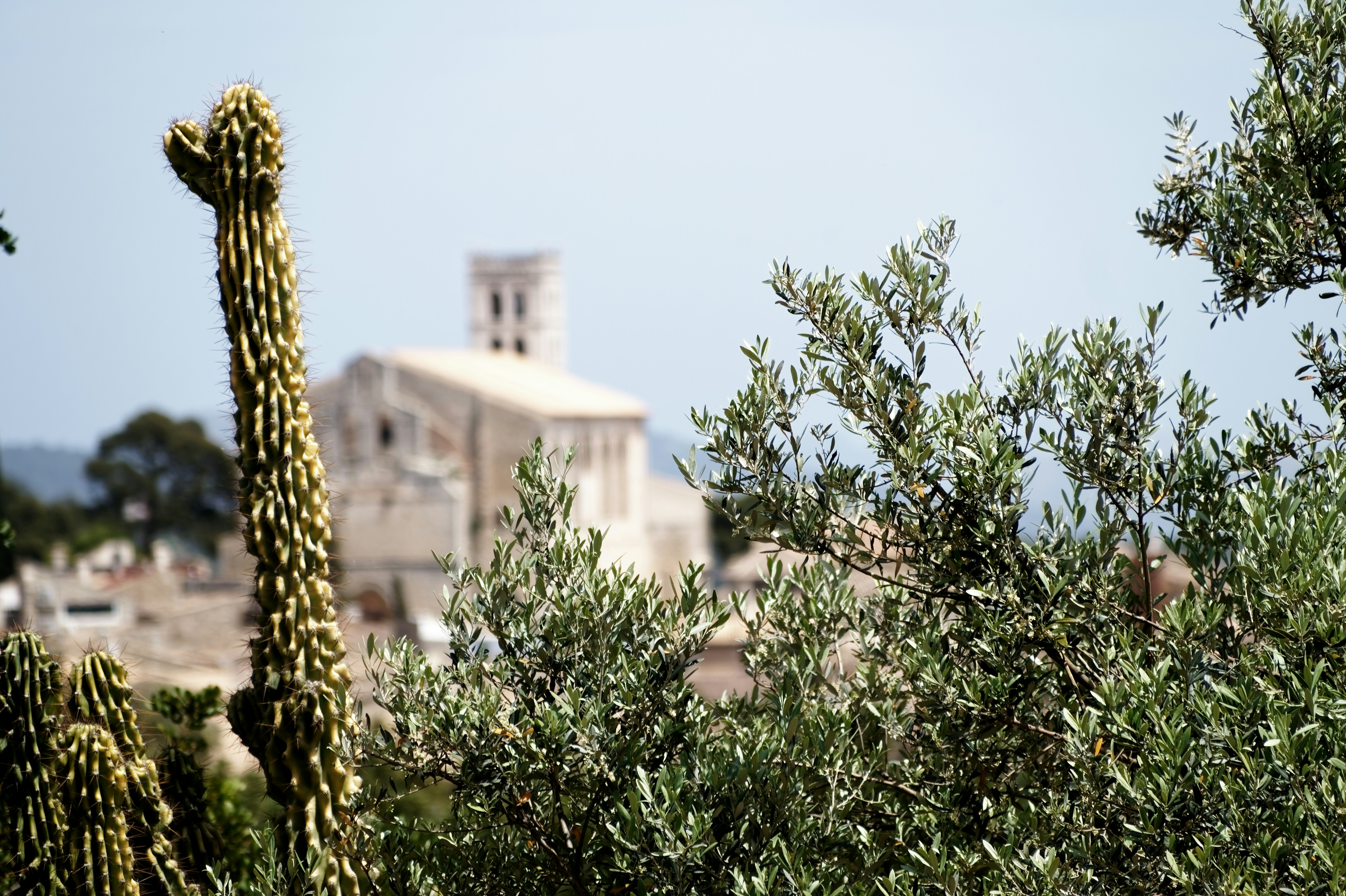 Photo by Alex Kulikov with Sony Alpha 58