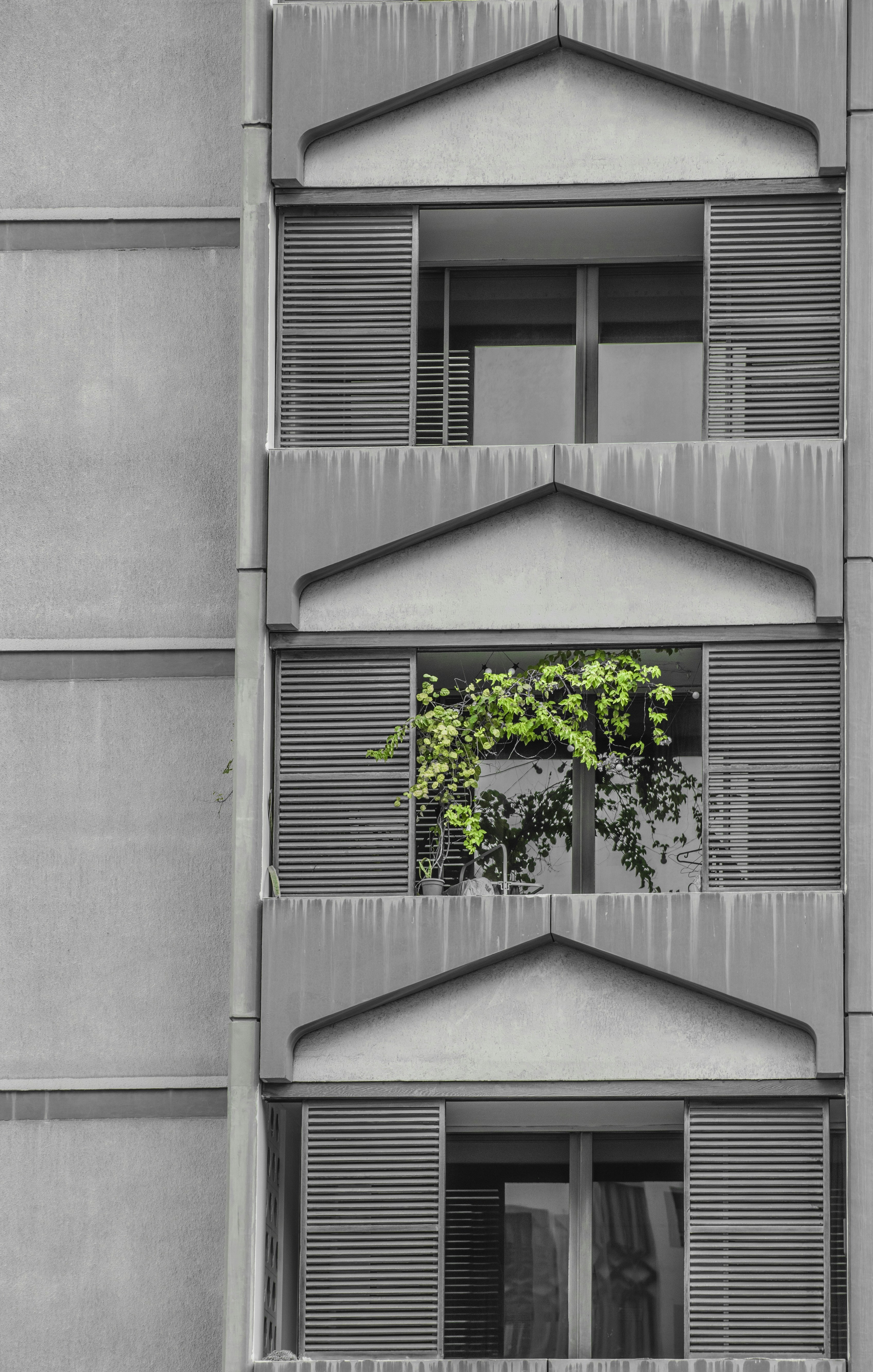 Photo by aboodi vesakaran with Nikon D5600