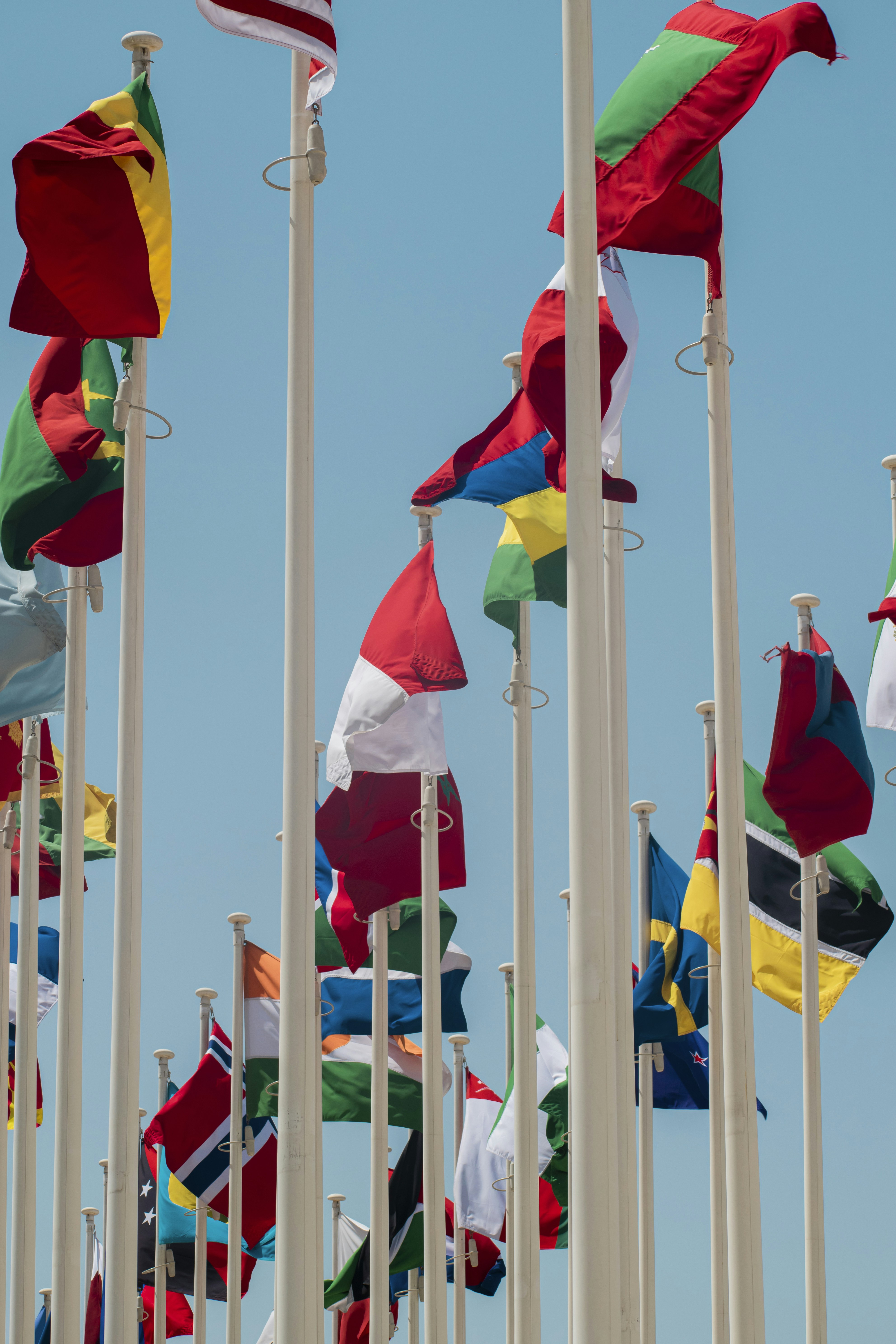 A lot of flags that are flying in the air photo – Free Flag Image on ...