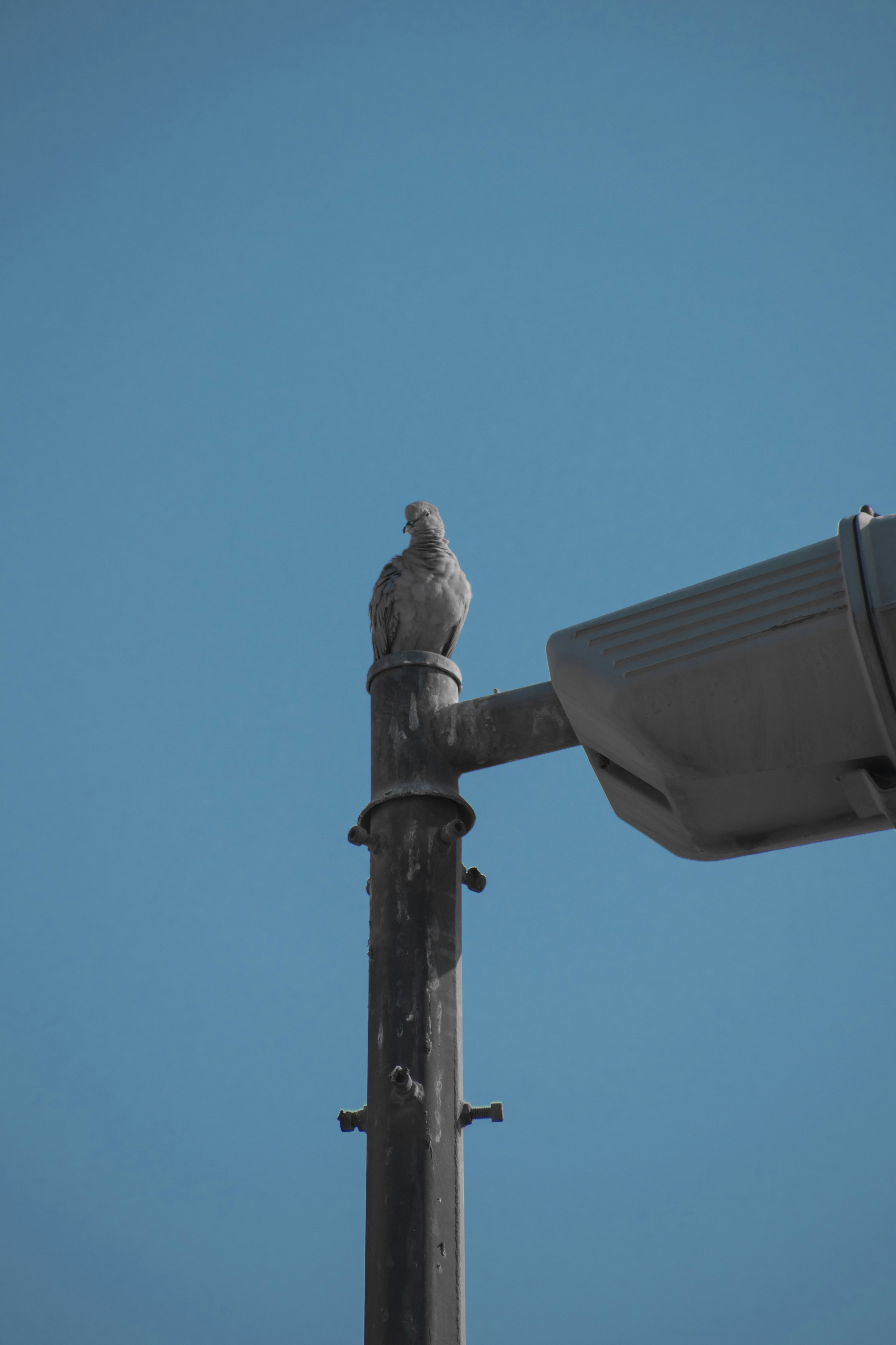 Photo by aboodi vesakaran with Nikon D5600