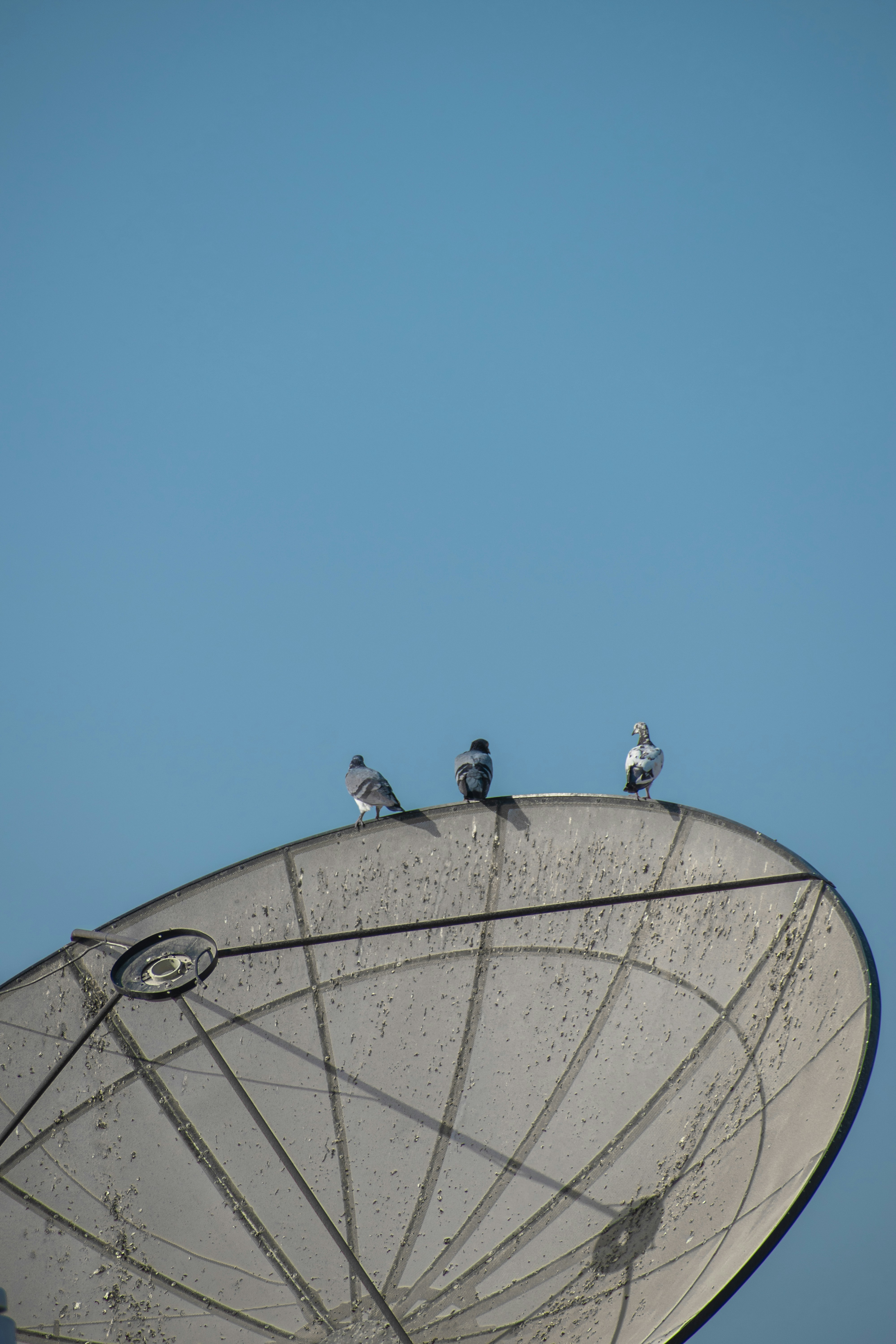 Photo by aboodi vesakaran with Nikon D5600