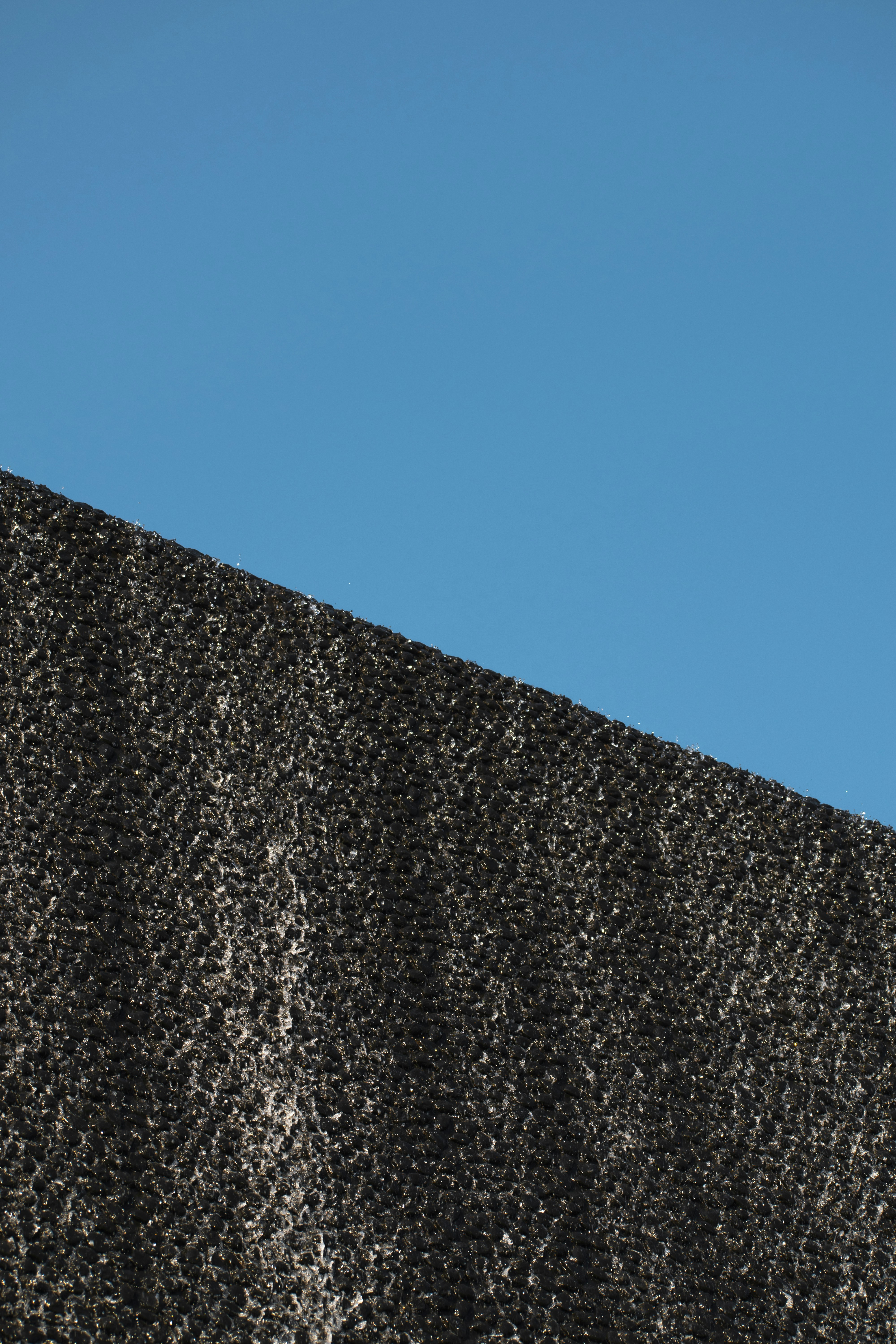 새가 벽 위에 앉아 있다 사진 – Unsplash의 무료 .tar 이미지