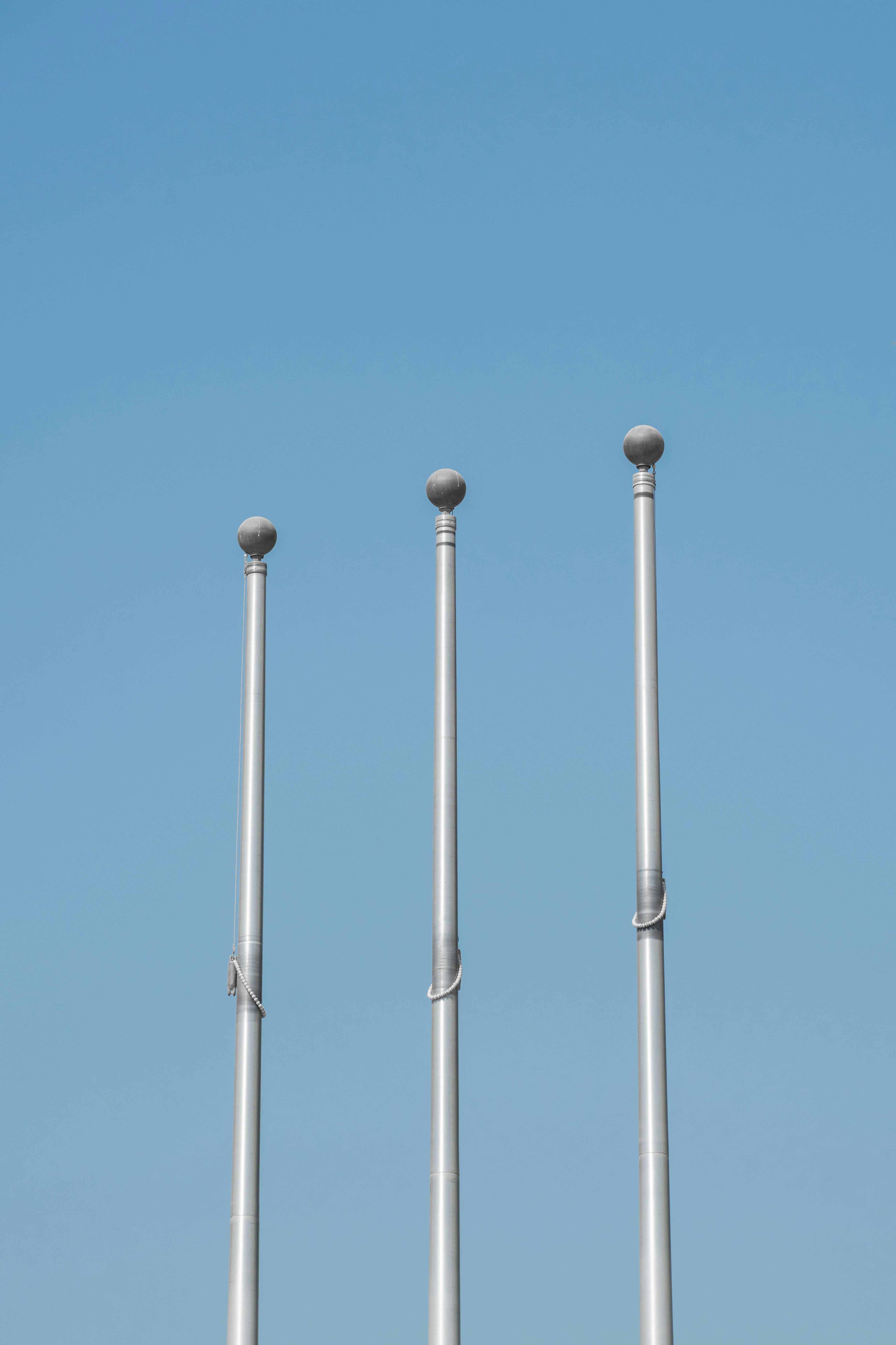 Photo by aboodi vesakaran with Nikon D5600