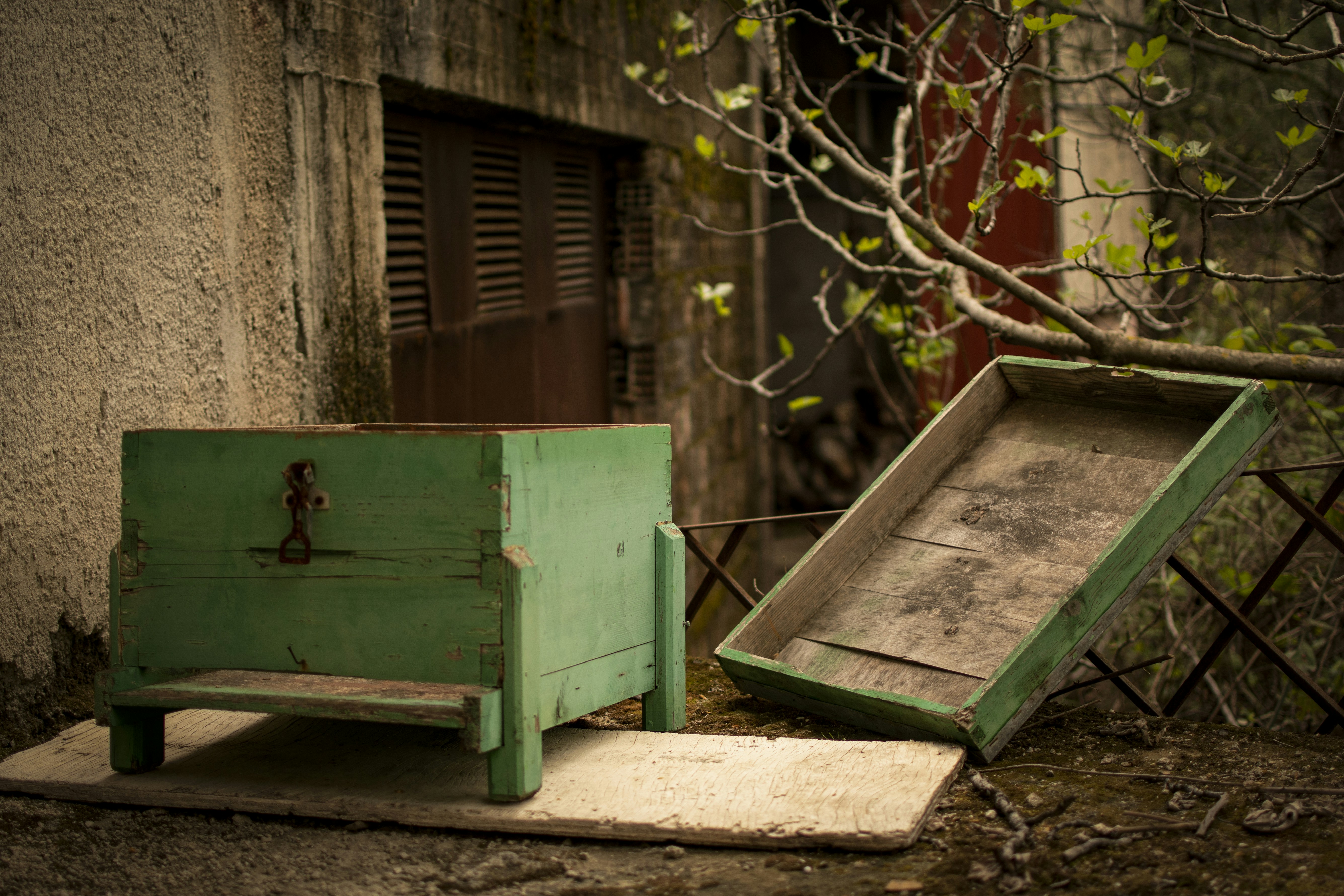 Photo by darkzo with Nikon D3500