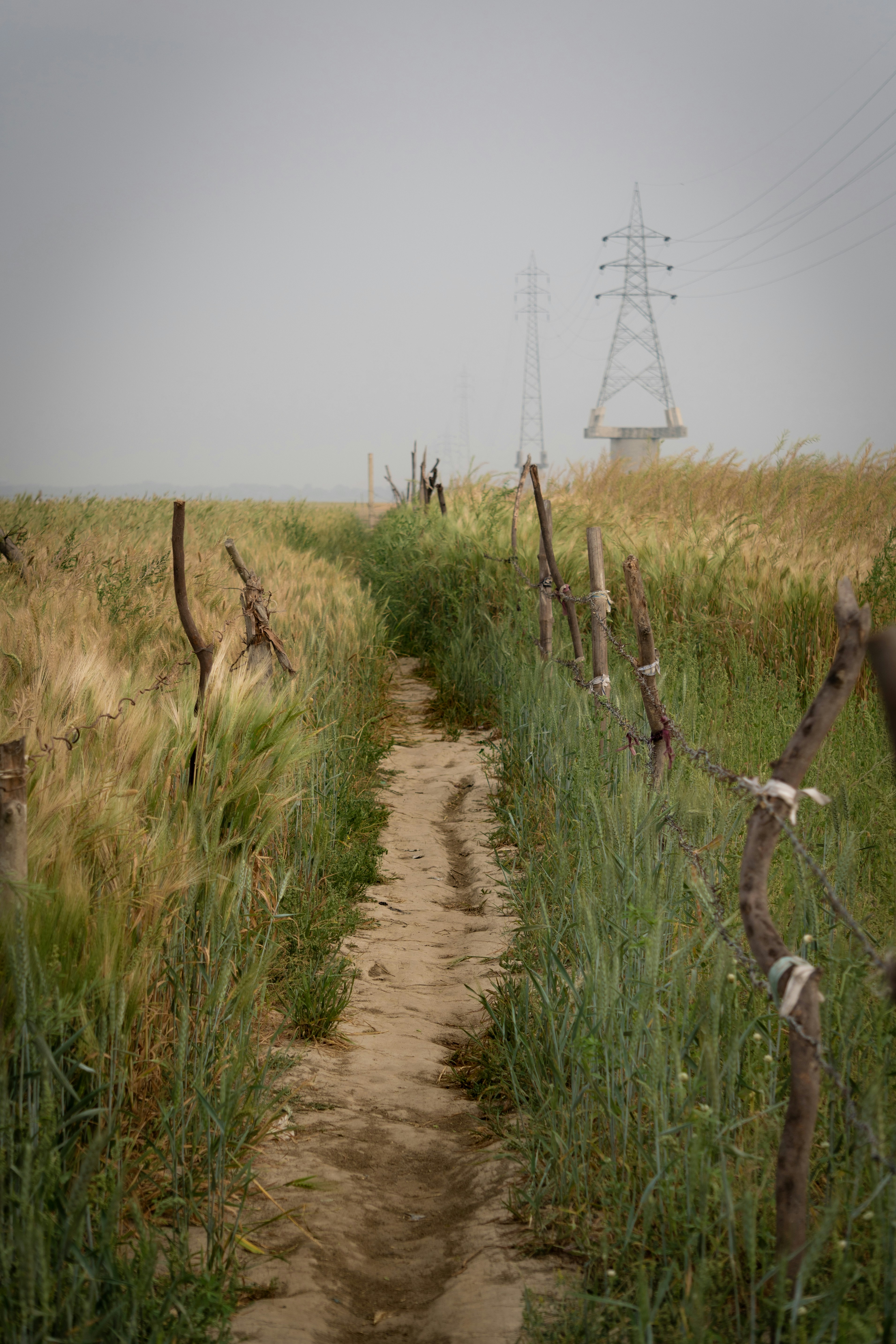 Photo by Shotify with Sony Alpha 6400