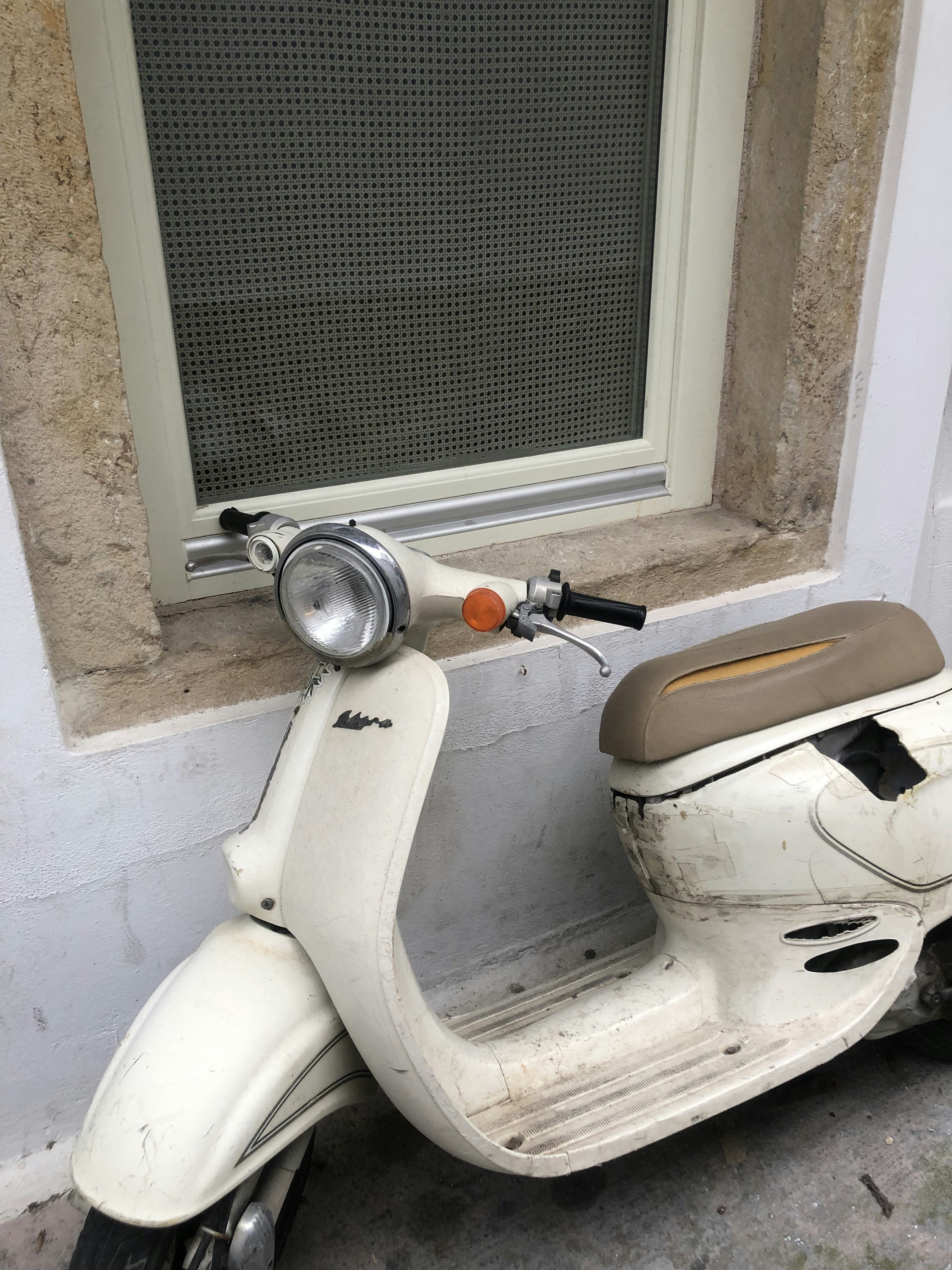 Photo by Marena Mangeri with Apple iPhone 8